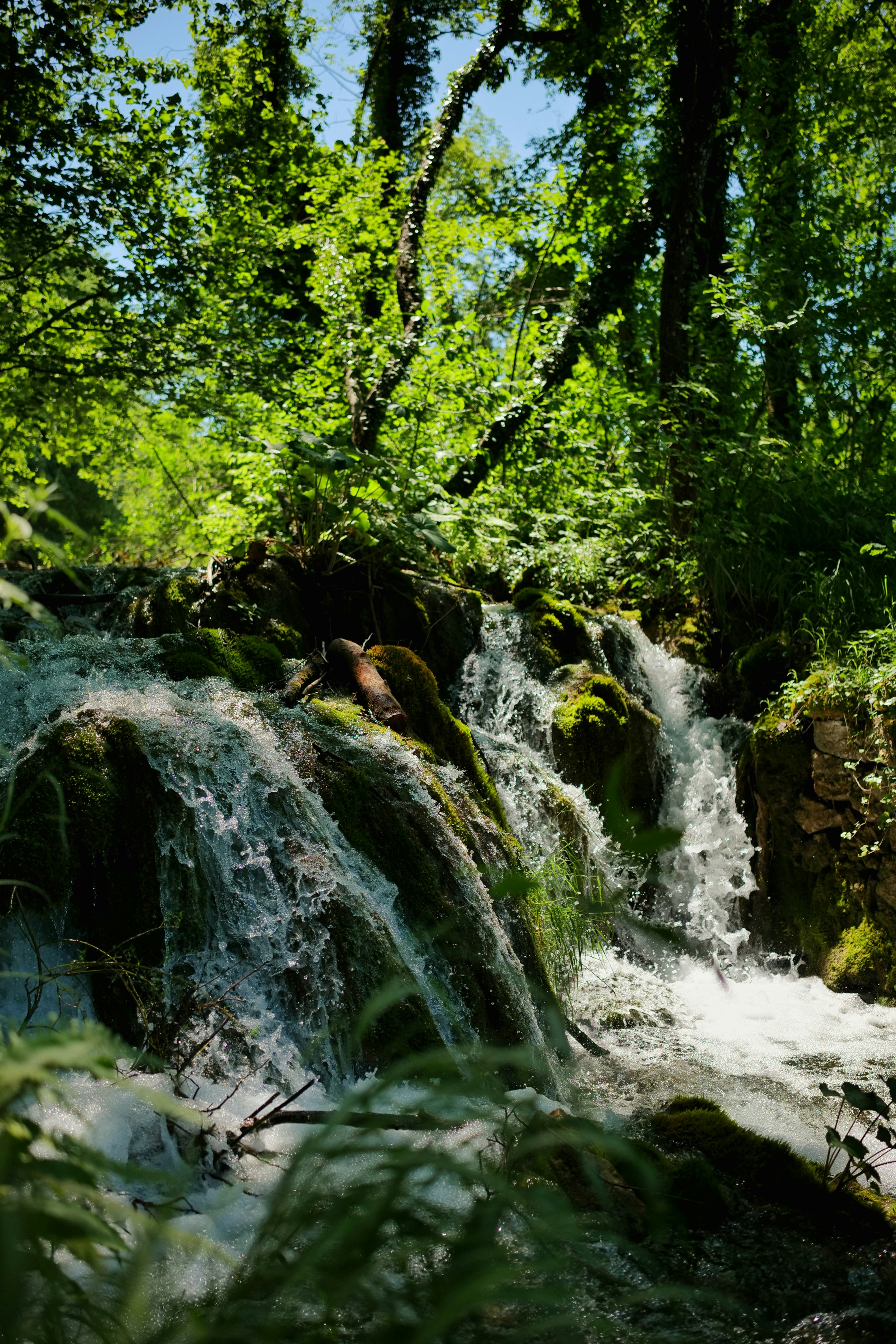 Emerald Cascade: Mossy Rocks and Fragrant Shade By a Forest Creek