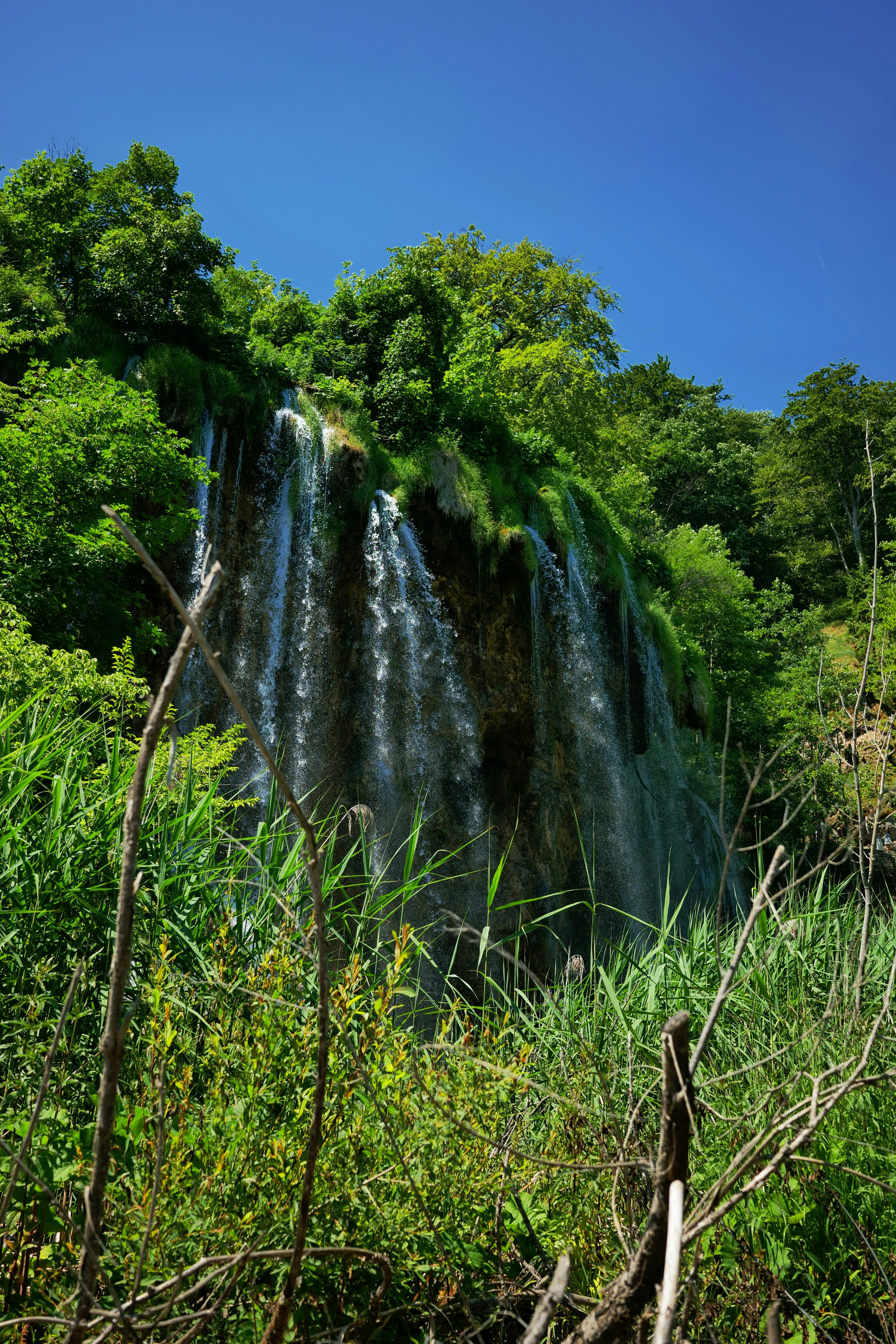 Verdant Cascade: A Springtime Curtain of Water Against a Lush Green Cliff