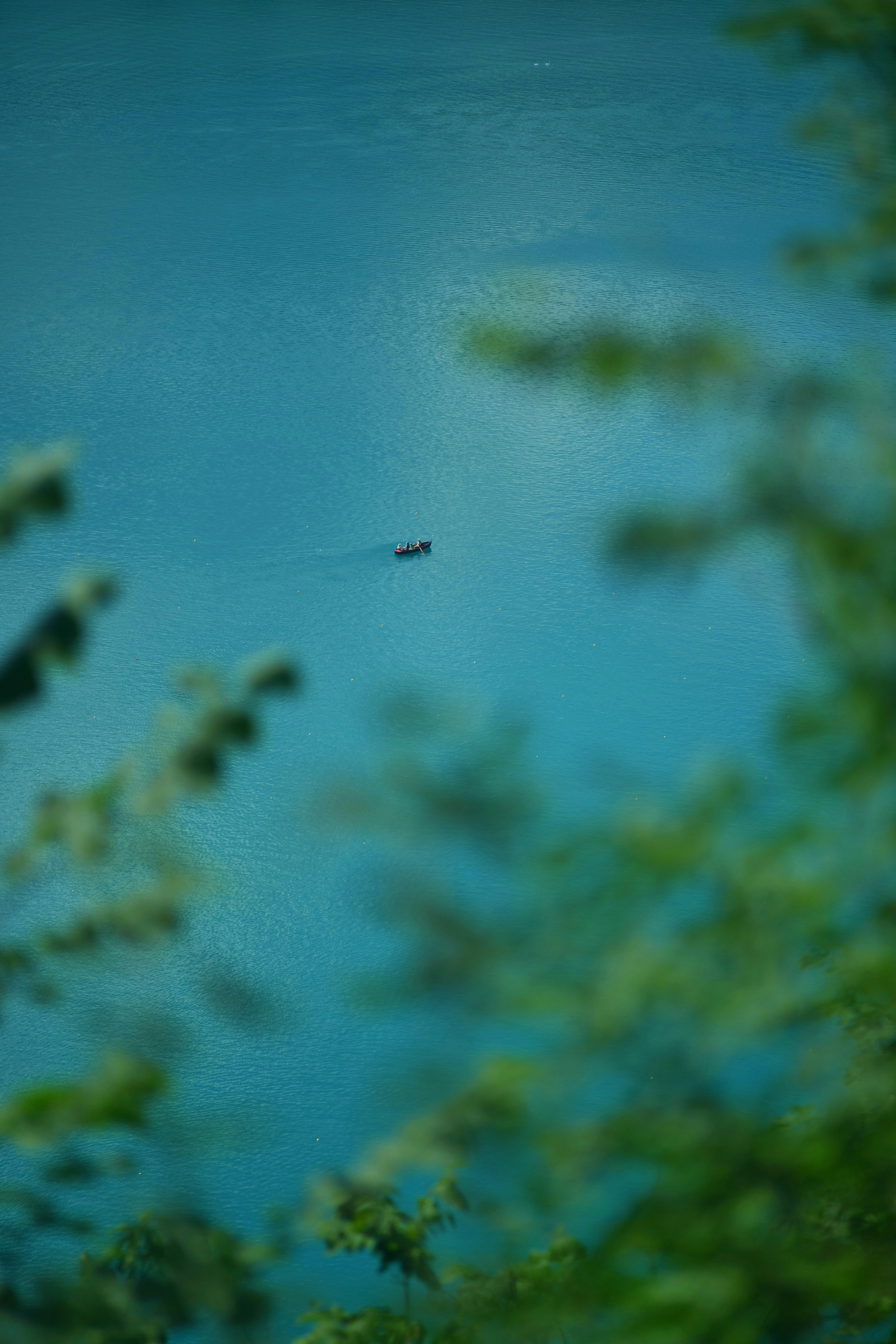 Blue Silence: A Lone Boat Adrift in Juxtaposed Veils of Lake and Foliage