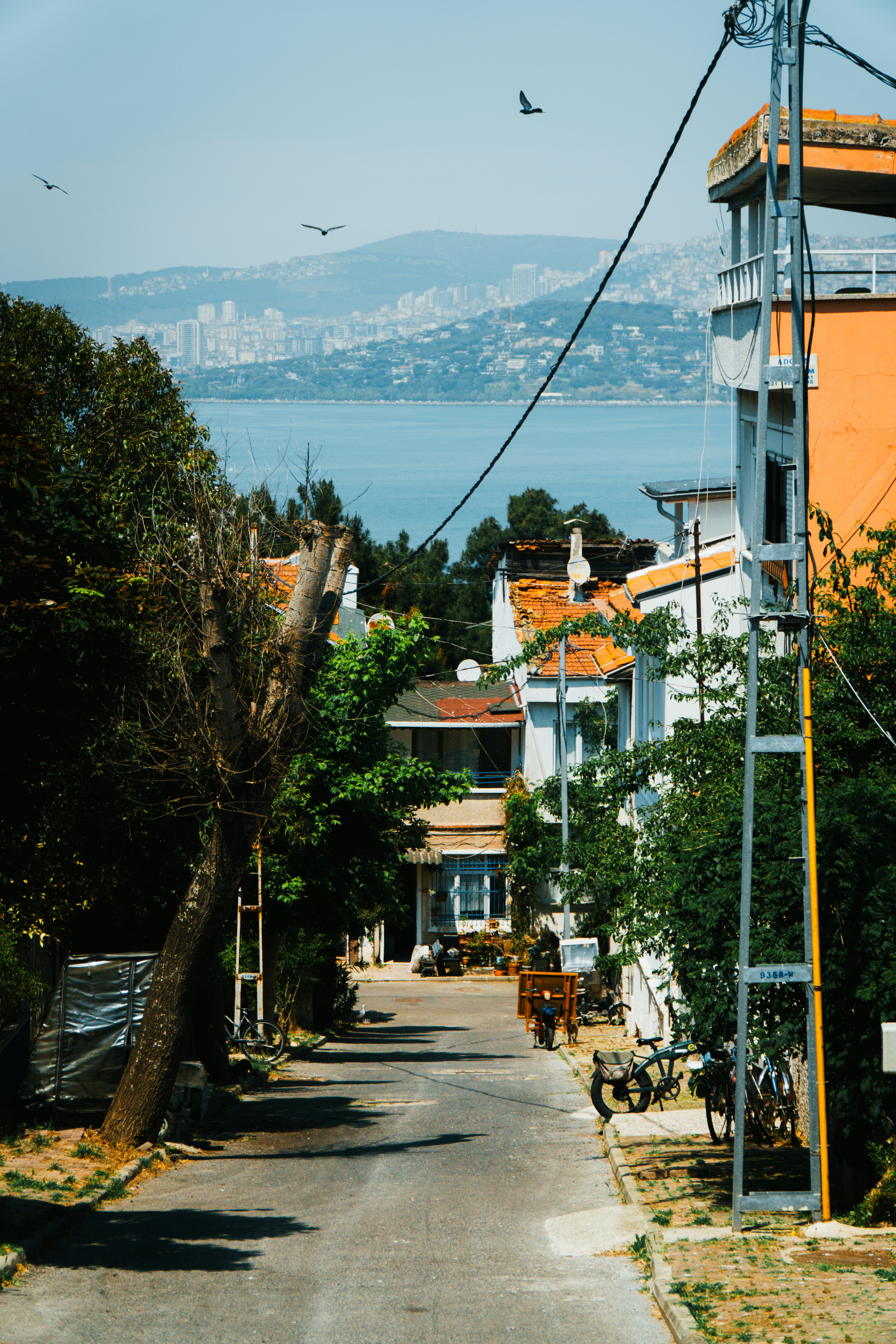Coastal Lane: A Quiet Street Framed by Oceanic Horizon