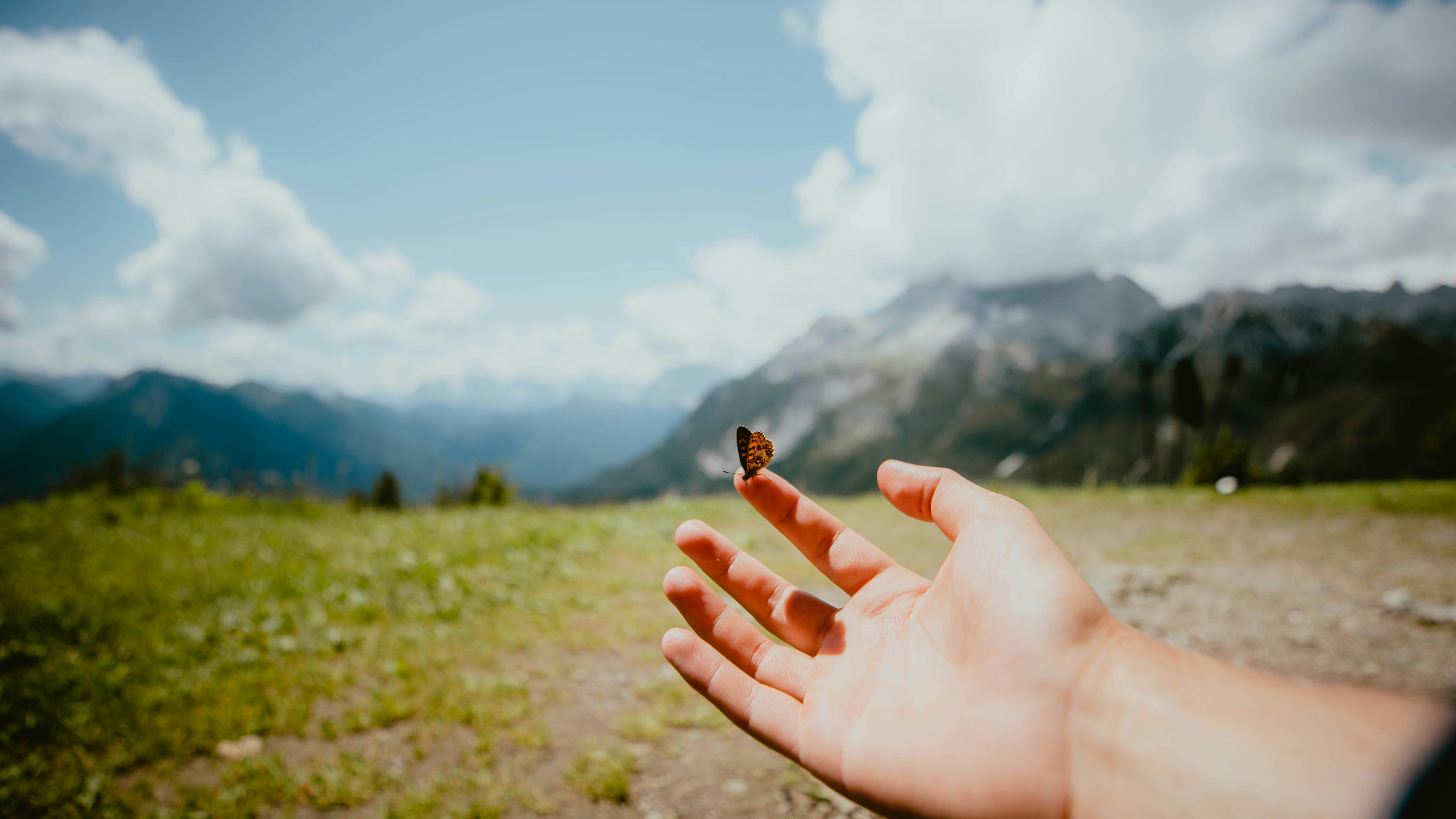Hand in the Mountain Breeze: A Tiny Butterfly in Focus