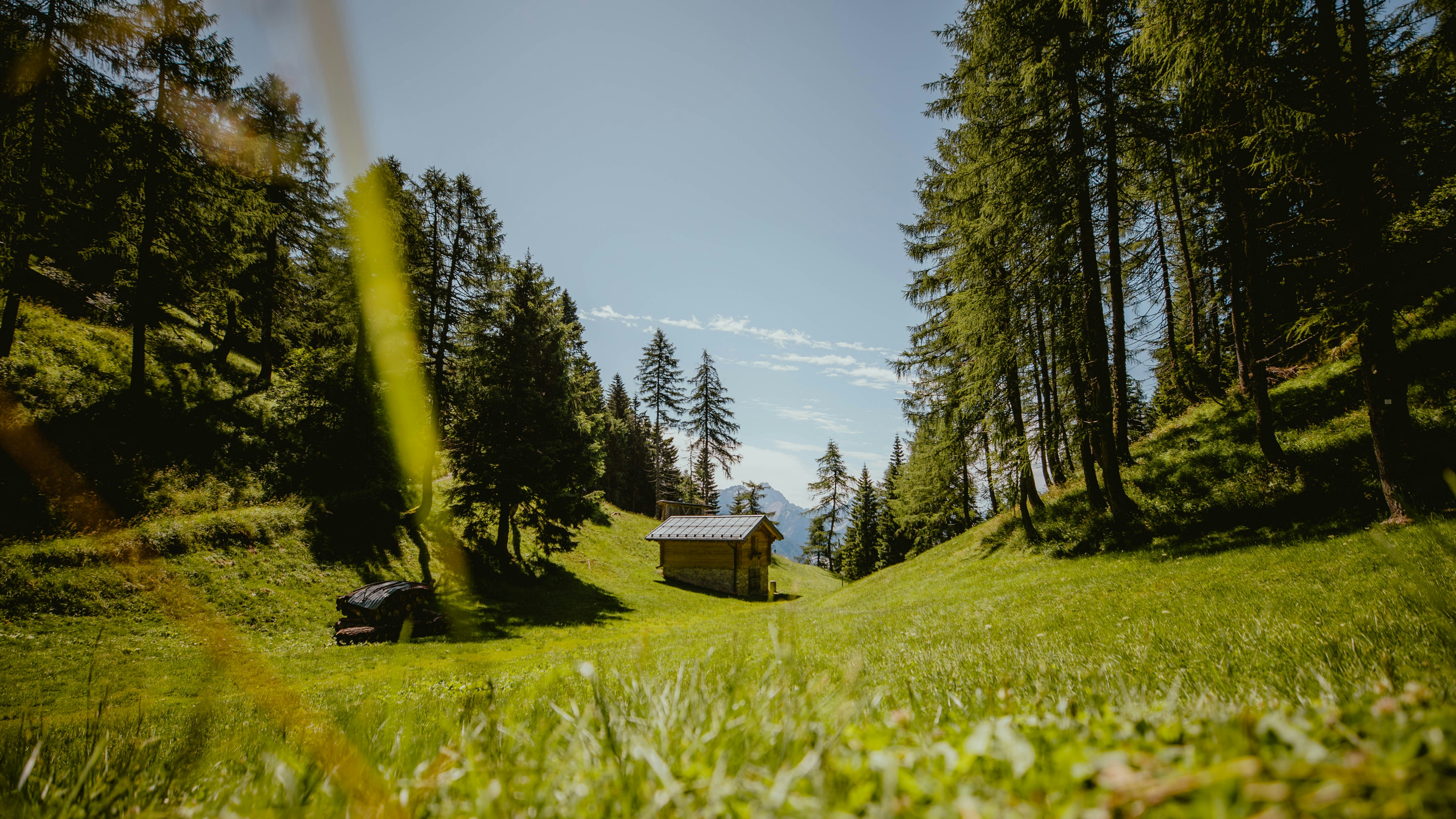 Sunlit Cabin in a Gentle Meadow
