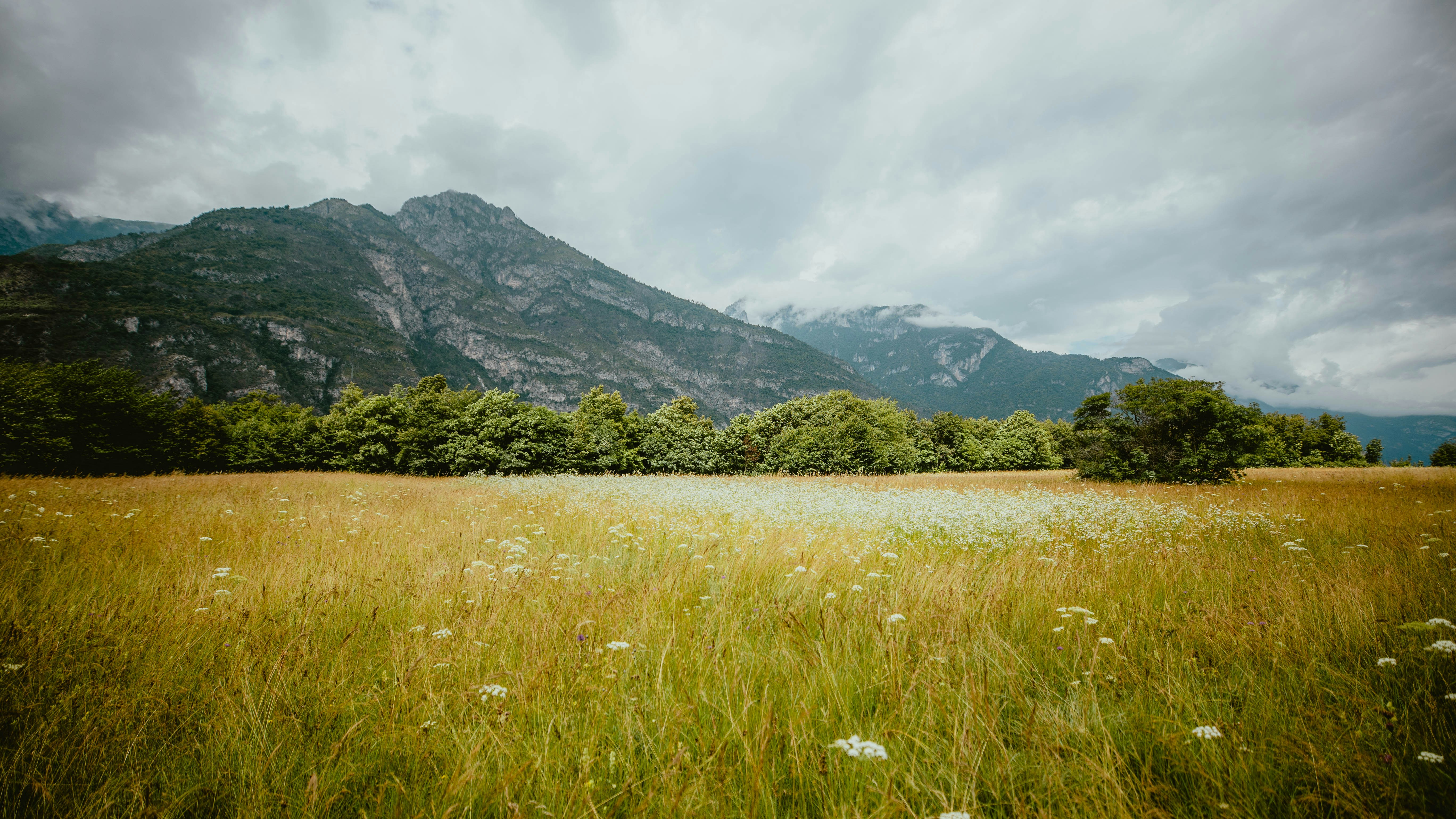 Meadow Over the Foot of Cloud-Watched Peaks