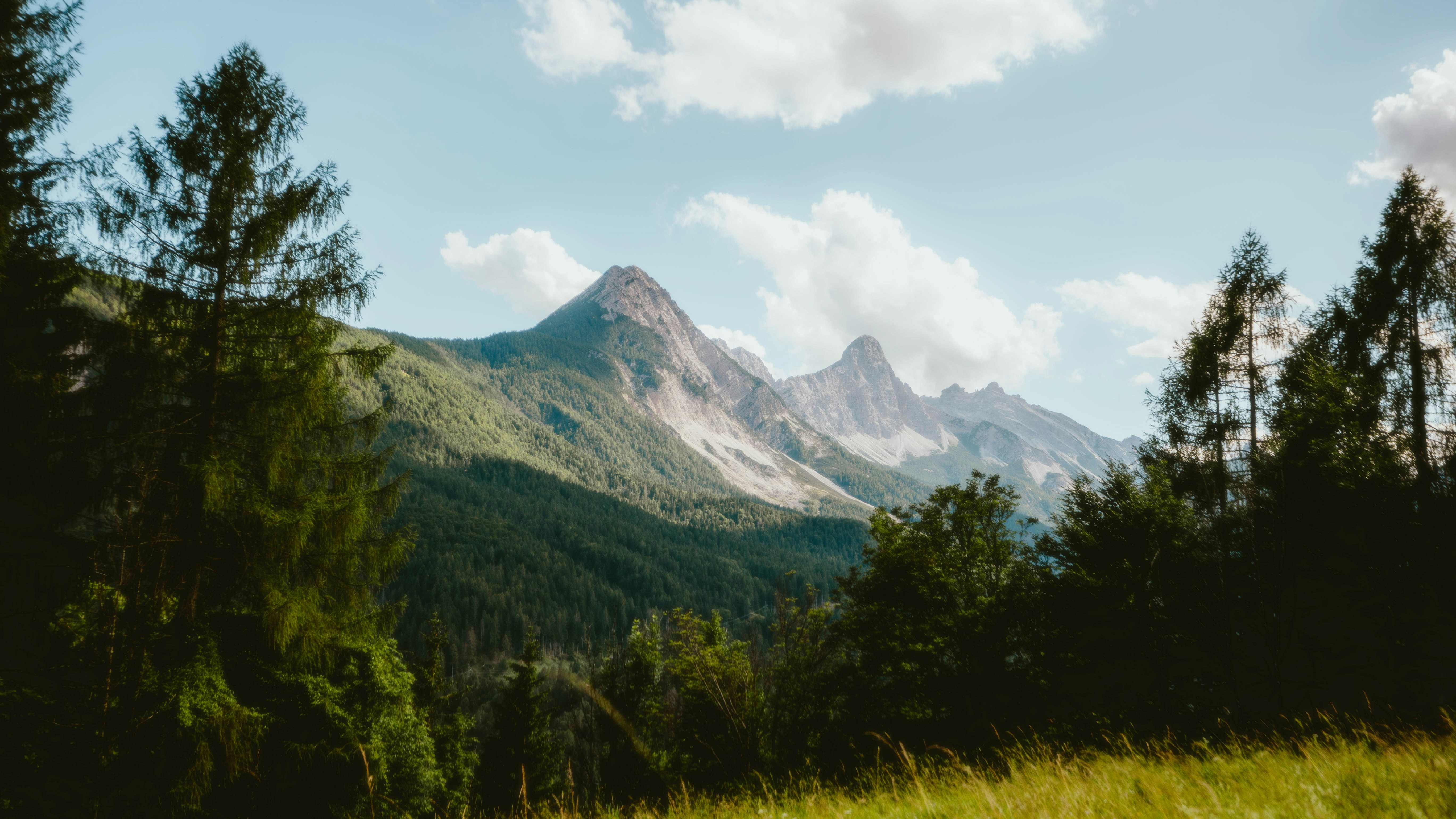 Sunlit Alpine Gap: Peaks Rising Over a Meadow
