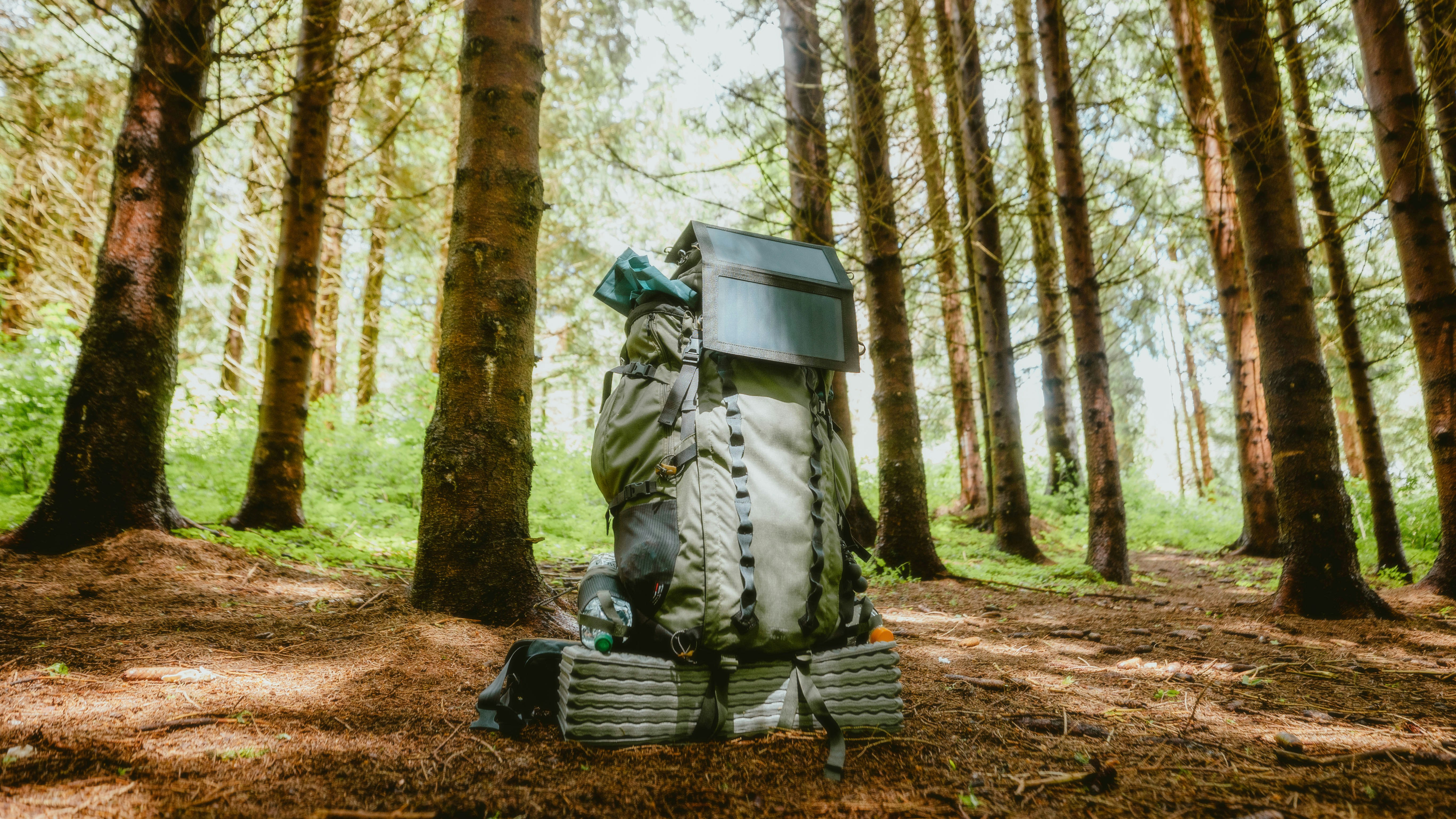 Forest Pack: A Mountain-Ready Load Quietly Guarding the Trail
