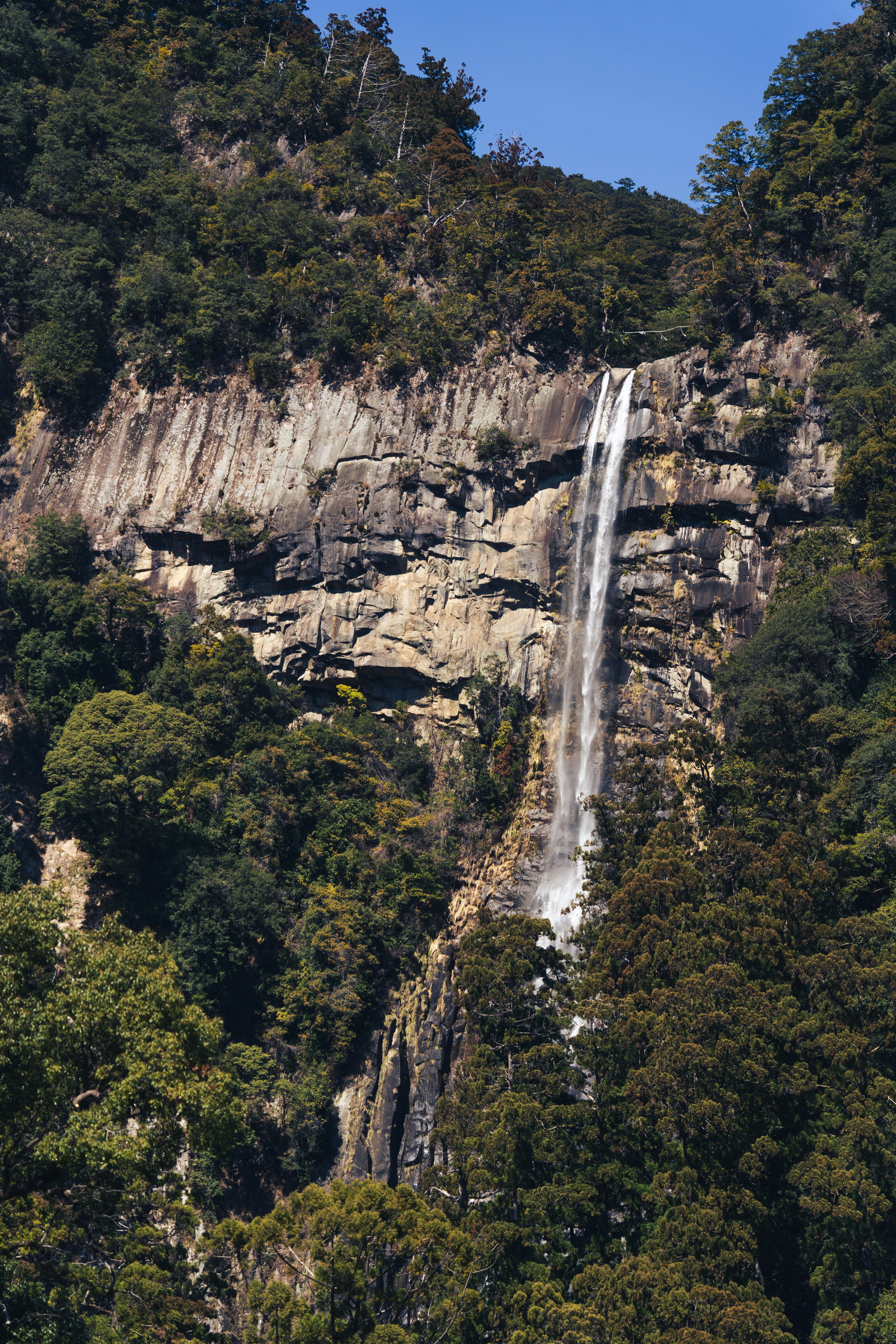 Veiled Gatekeeper: A Narrow Cataract Descends the Cliff Face