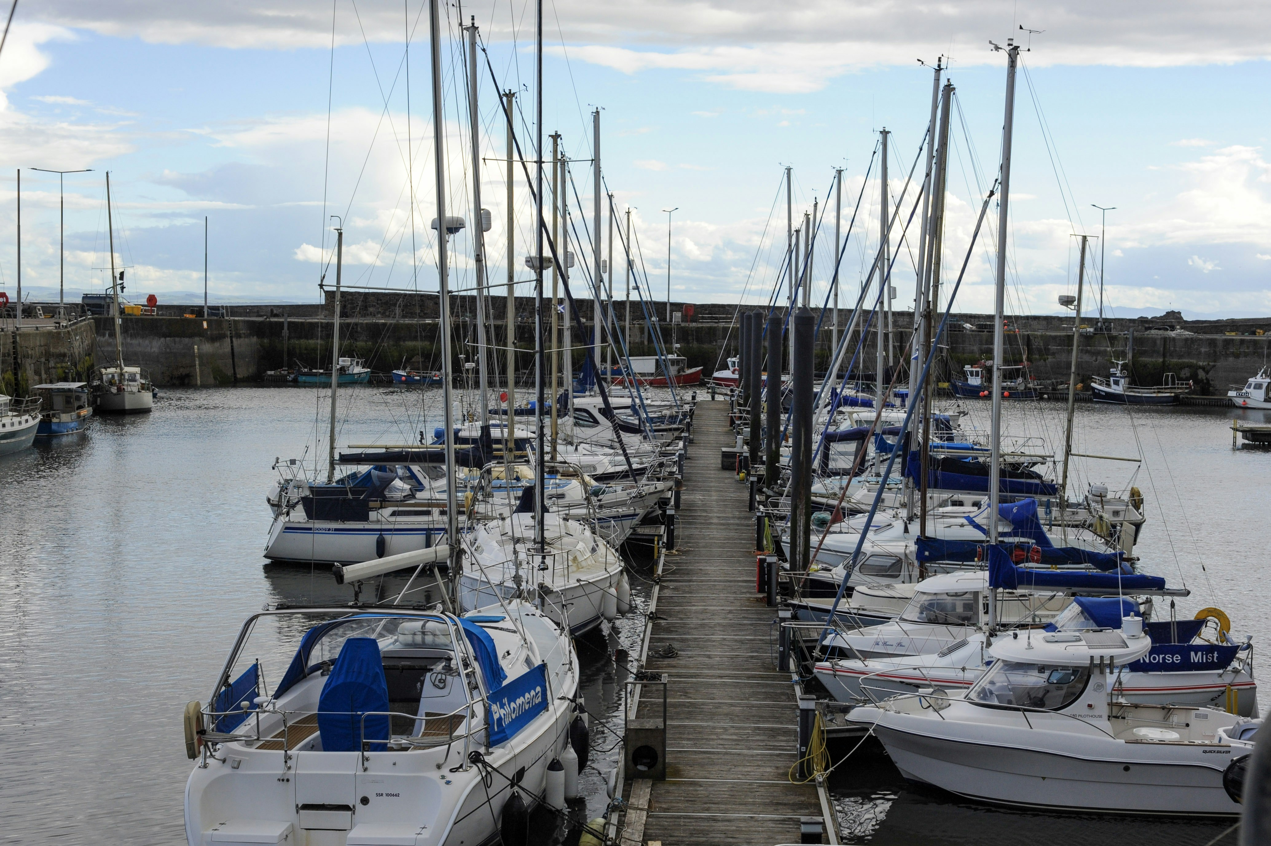 Docked Symmetry: A Sea of Sails Aligning Toward the Horizon
