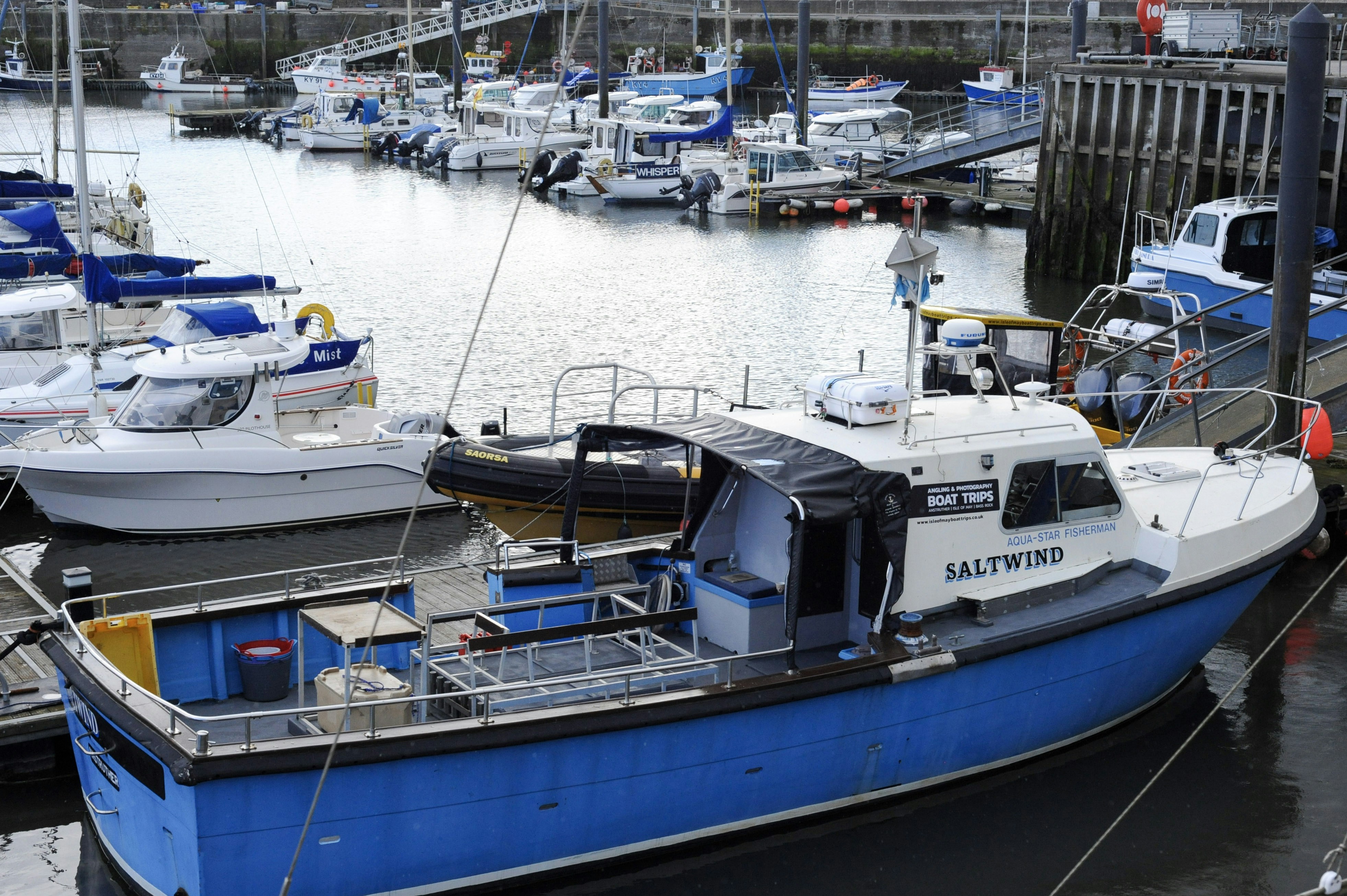 Blue Hull, Quiet Harbor: A Fleet at Rest