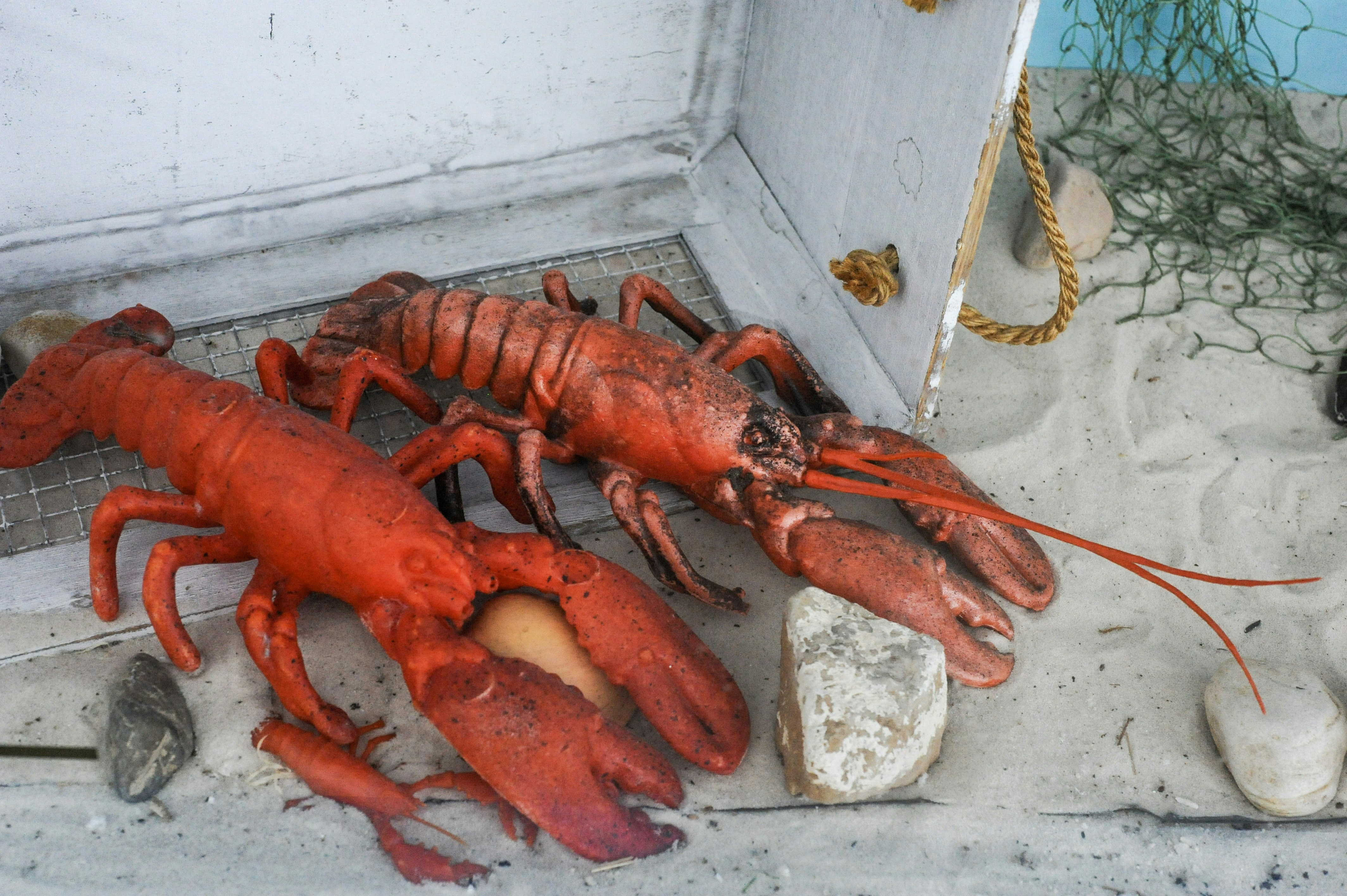 Red Lobsters Resting at the Dockside Corner