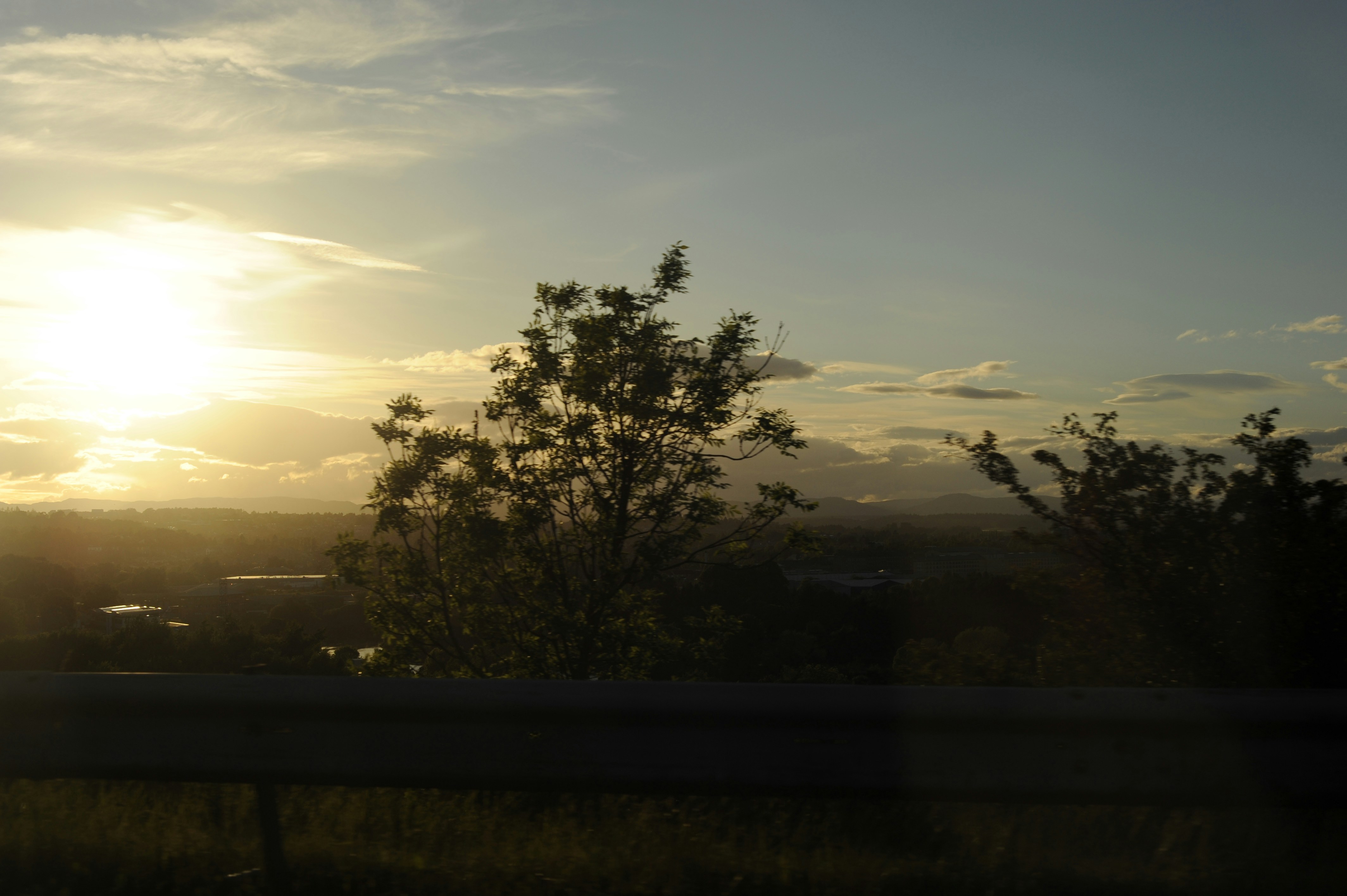 Horizon Glow Behind Silhouetted Trees at Dusk