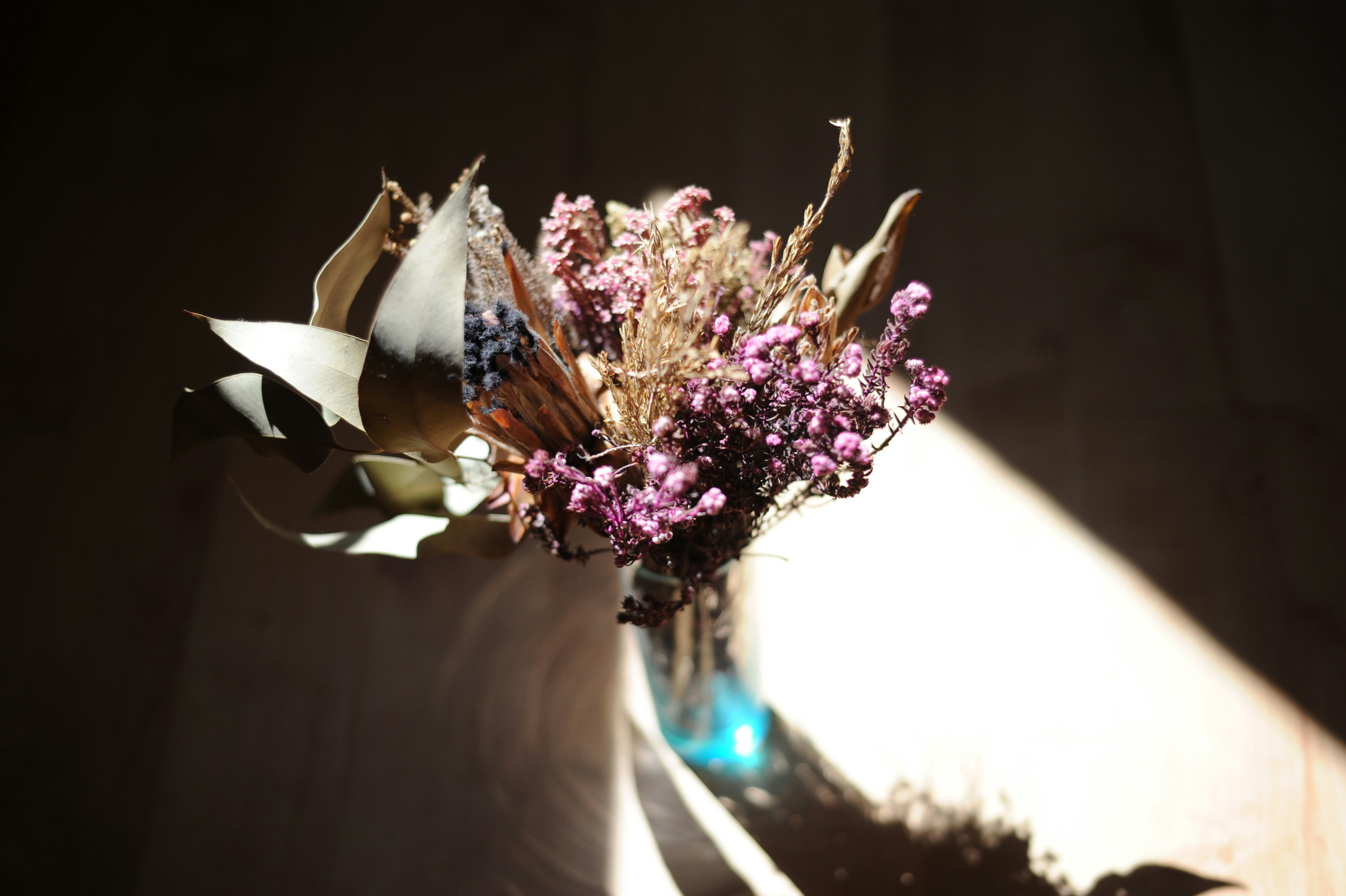 Sunlit Stillness: A Dried Bouquet Bathed in Quiet Spotlight