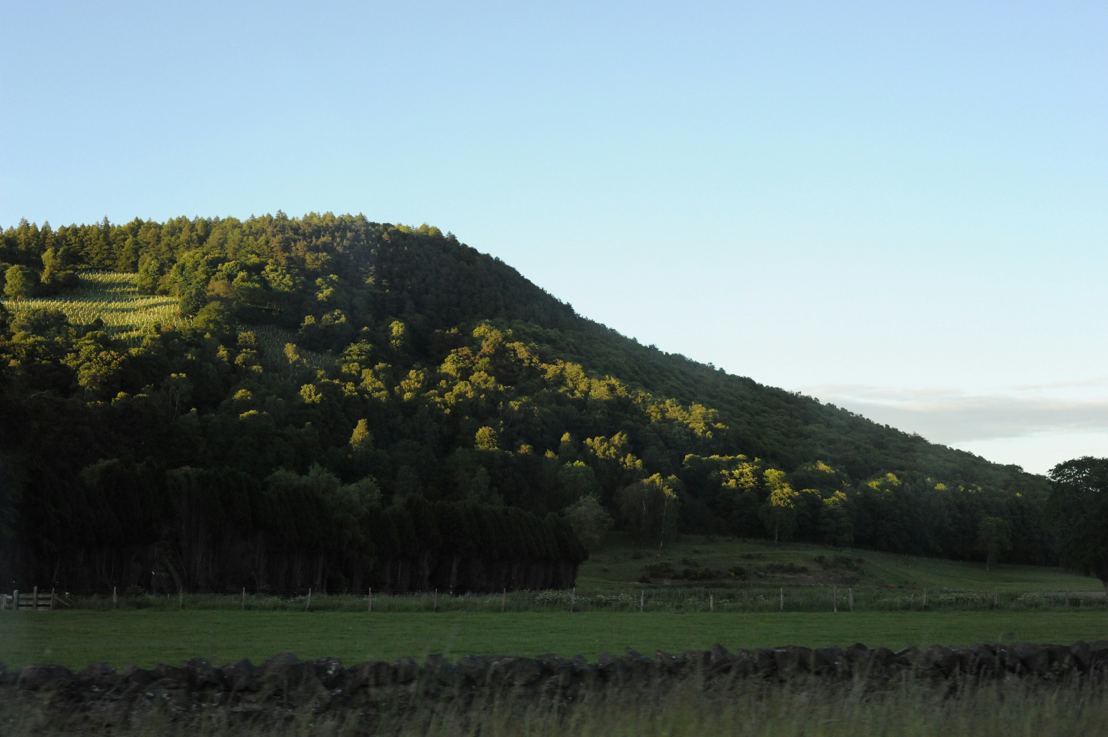 Sunlit Ridge: A Quiet Hillscape in Dusk-touched Green