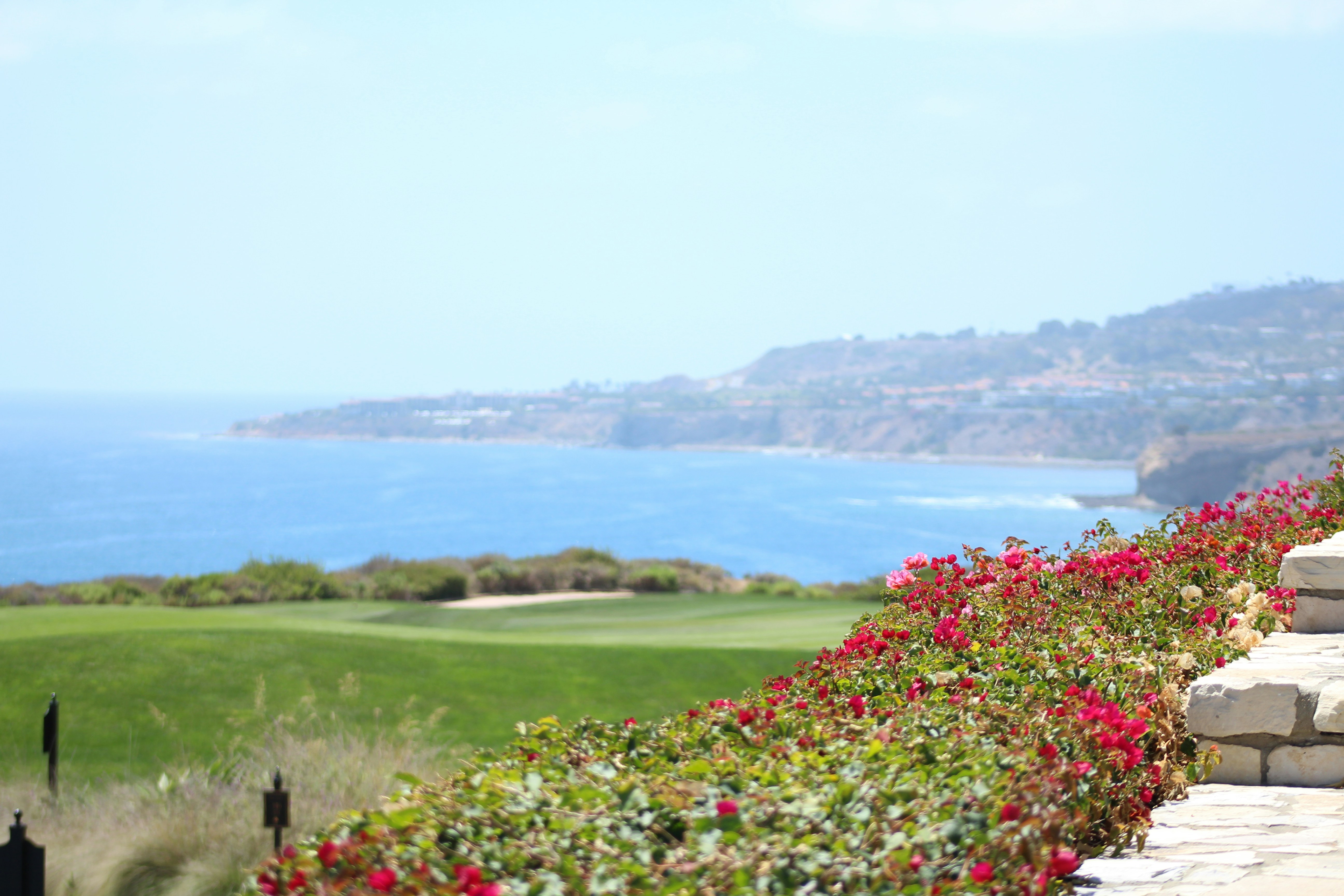 Bougainvillea Ridge Overlooking a Seaside Landscape