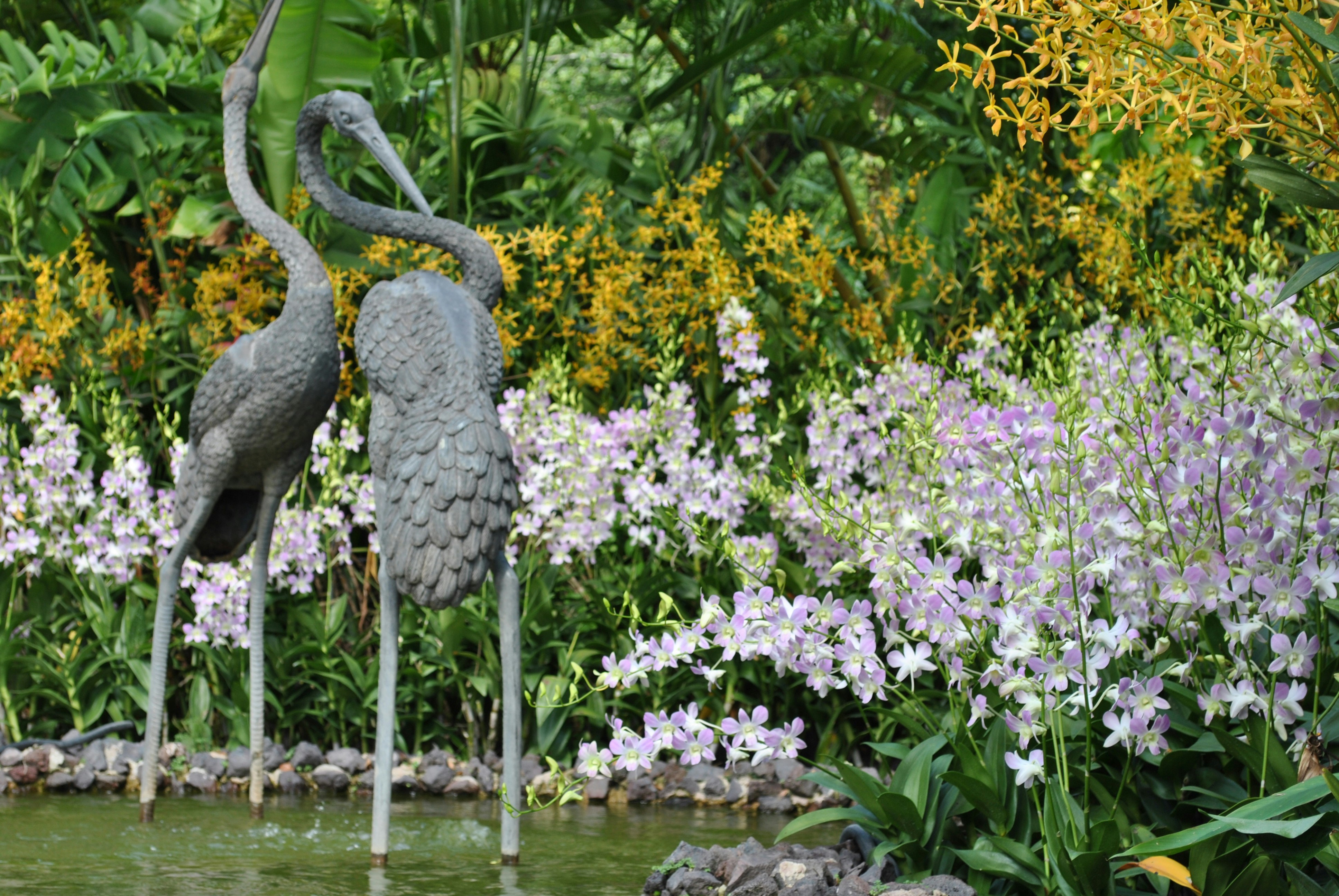 Two Heron Statues Guarding a Floral Pond
