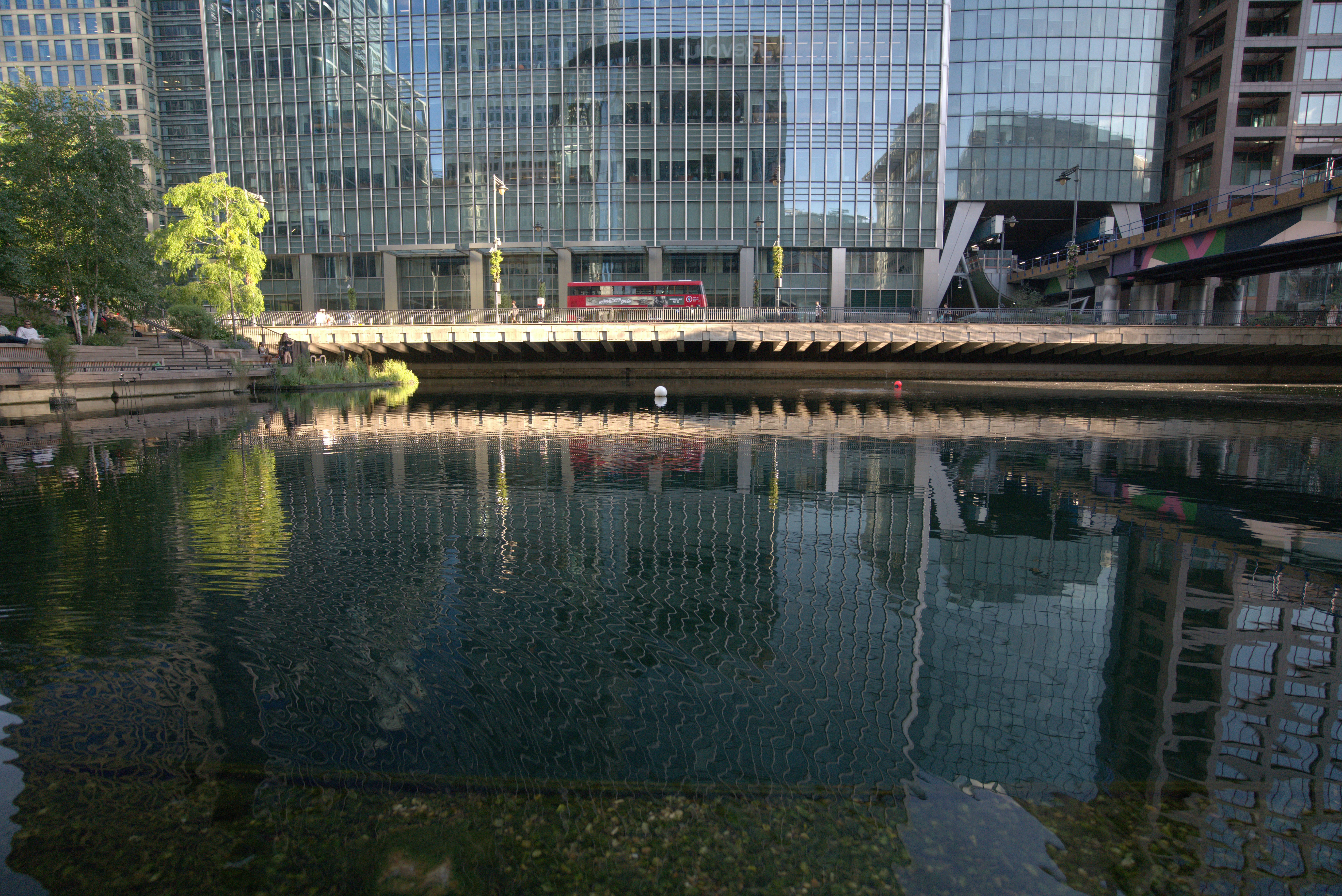 Reflections Over a Modern Canopy