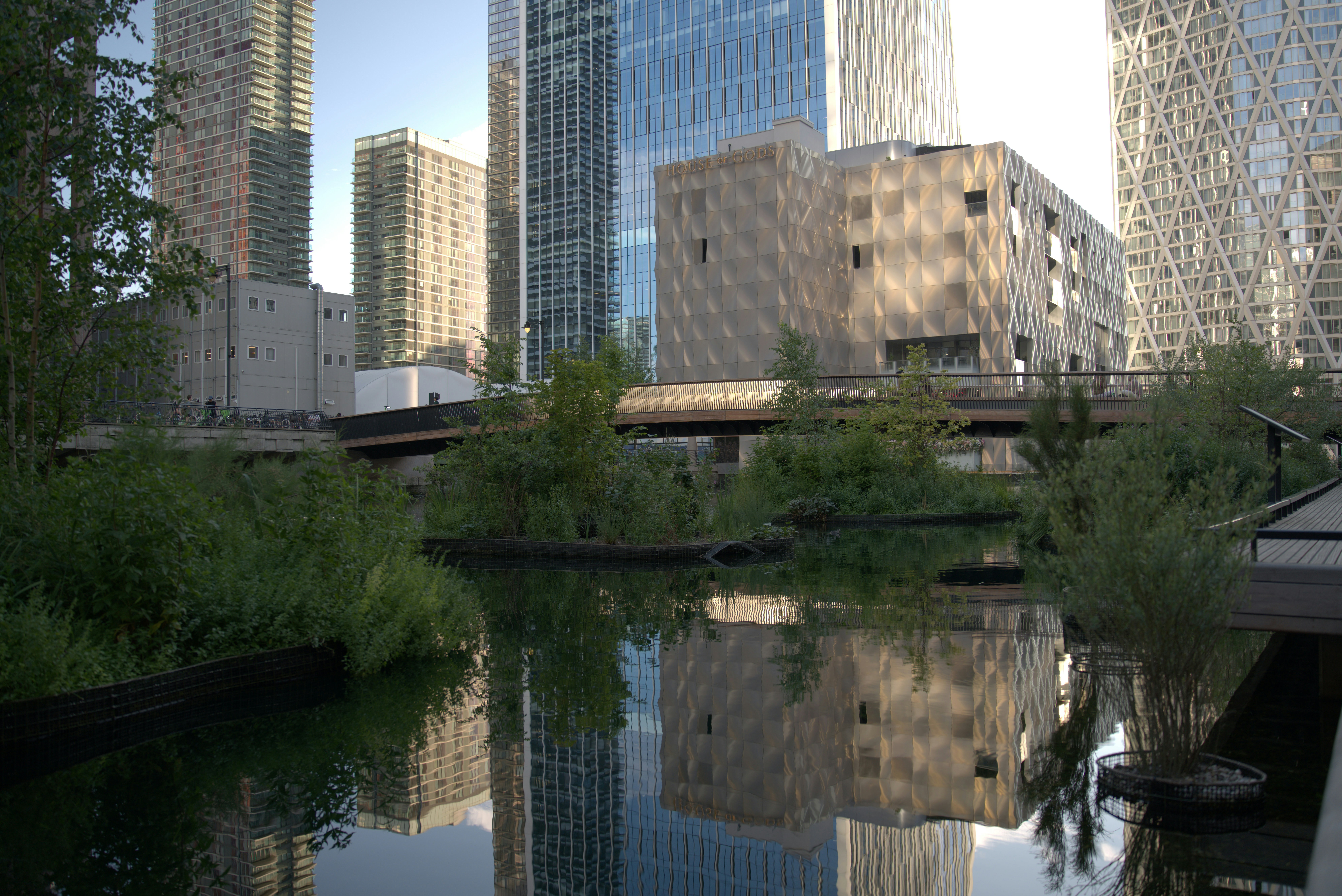 Urban Glass and Water: Reflections of a Modern Skyline