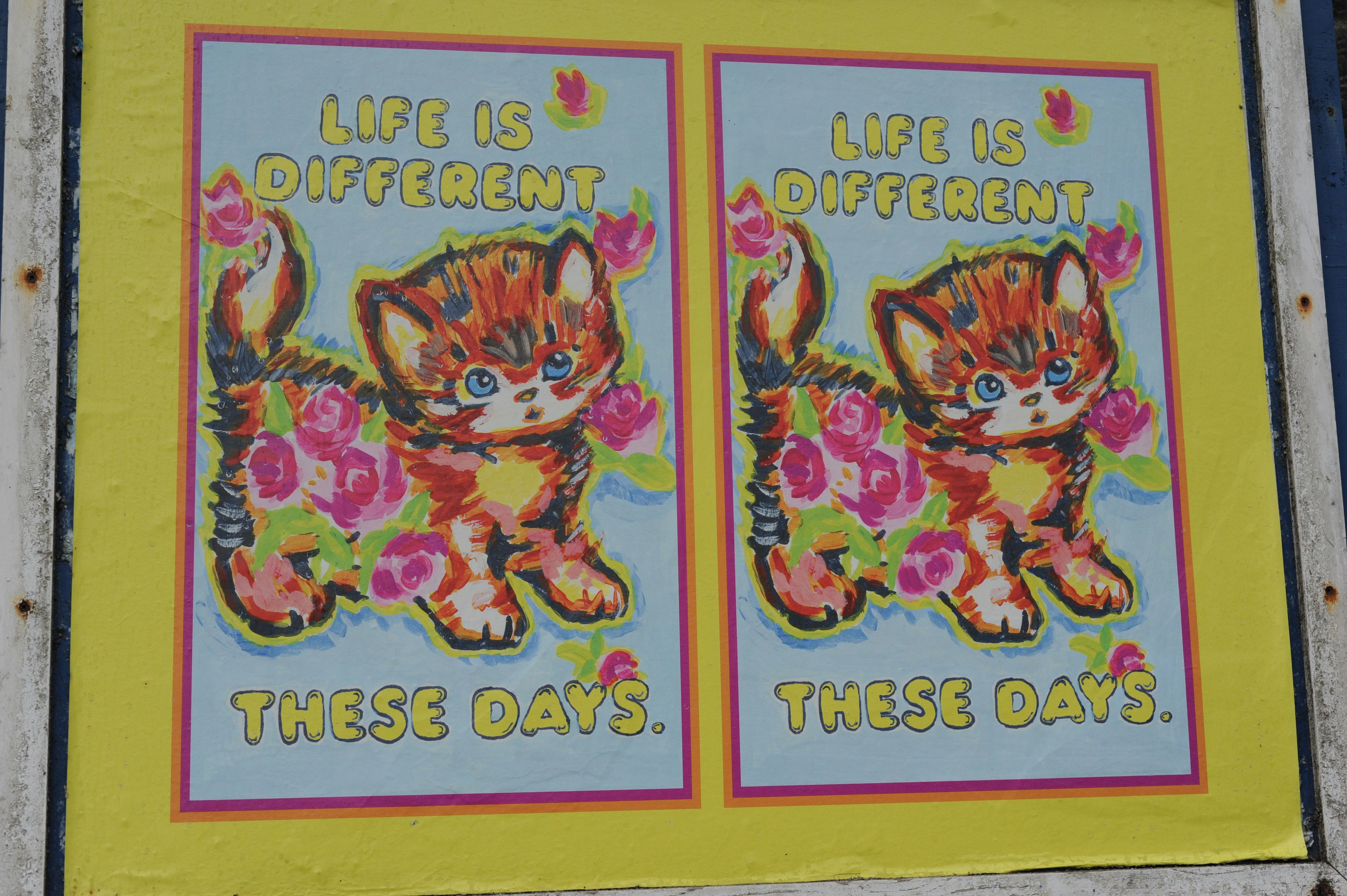 Twin Cat Posters: Life Is Different These Days