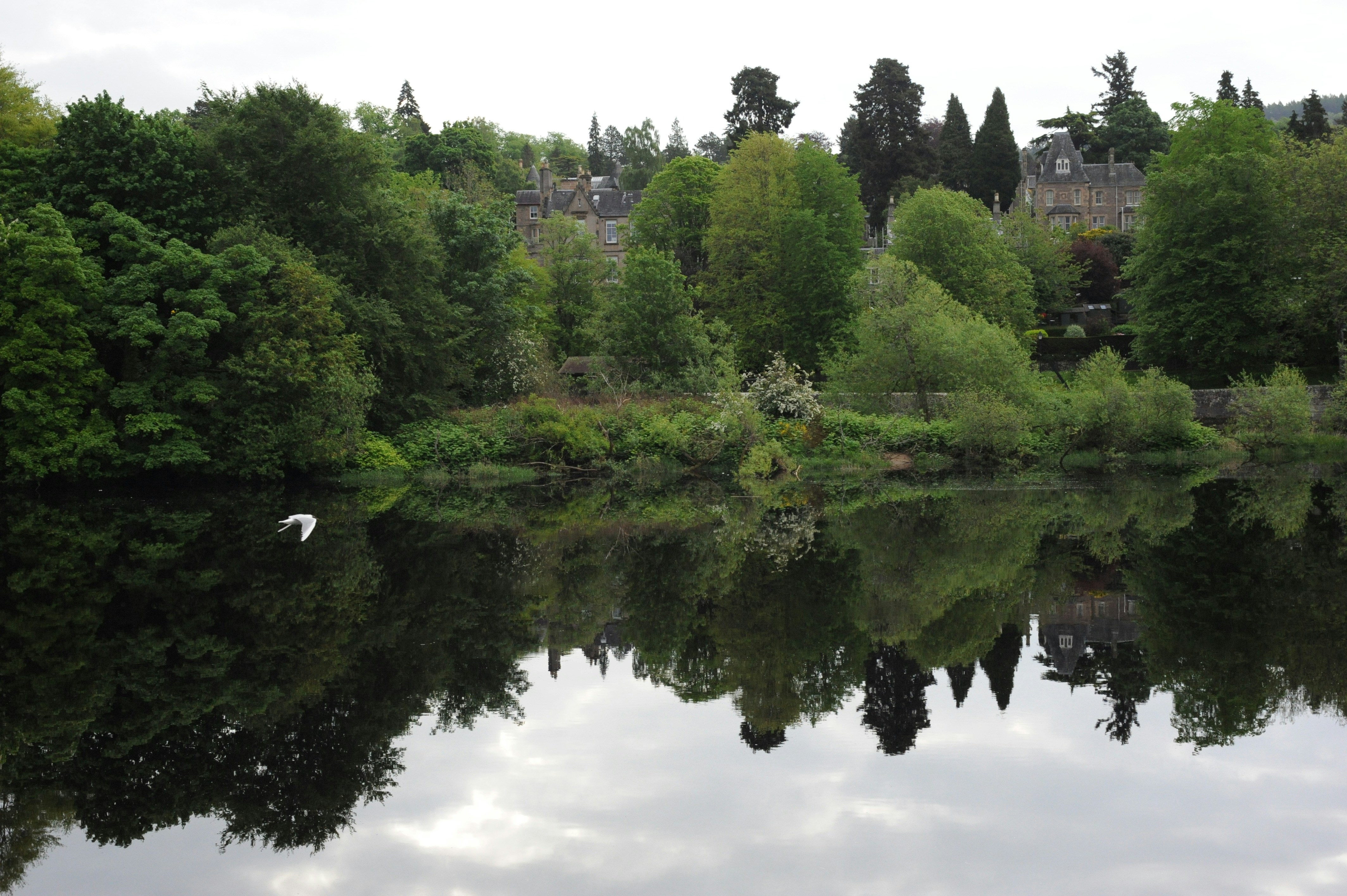 Mirrorline Over the River: Trees, Town, and Sky Reflected