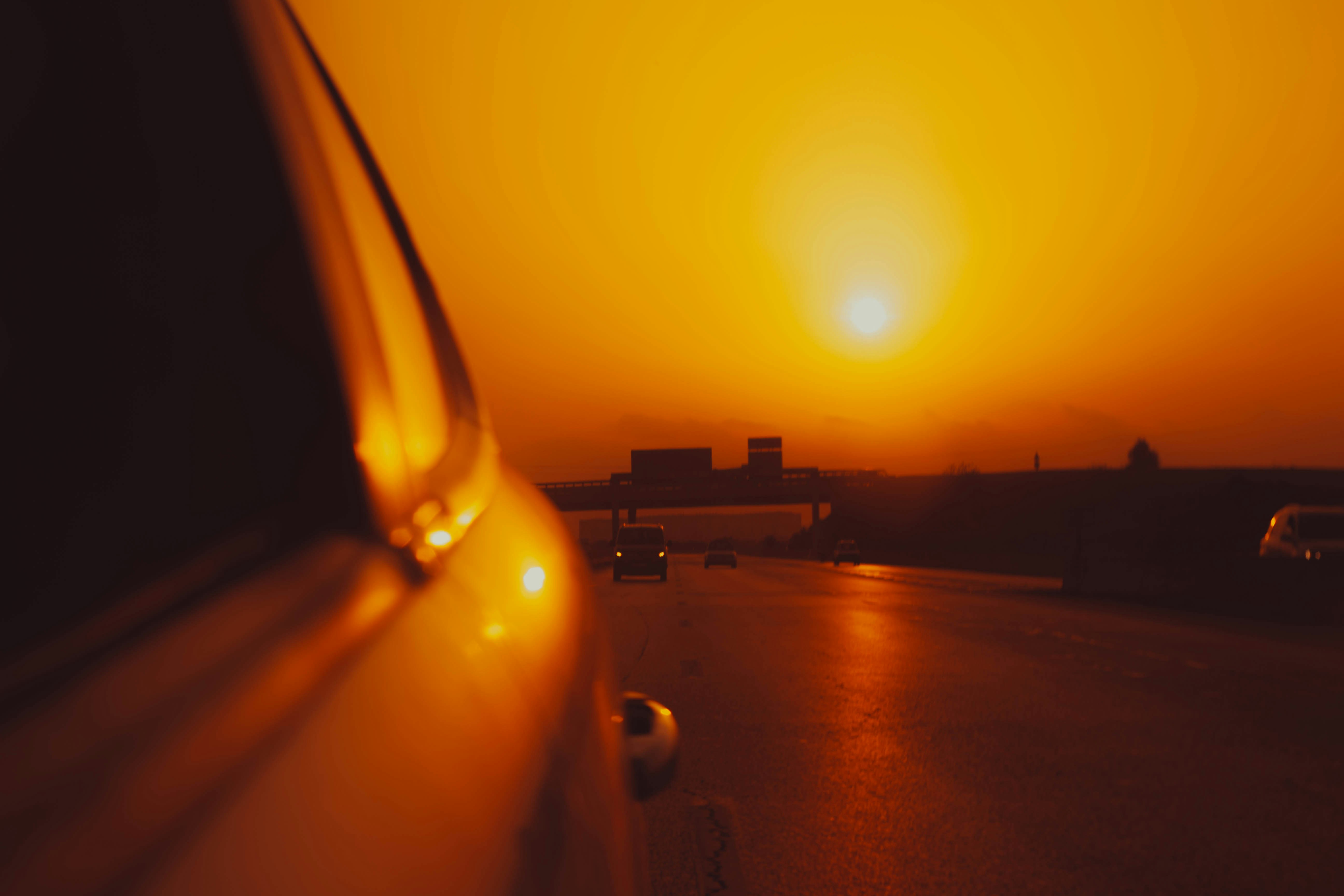Sunlit Highway Portrait: The Quiet Edge of Evening
