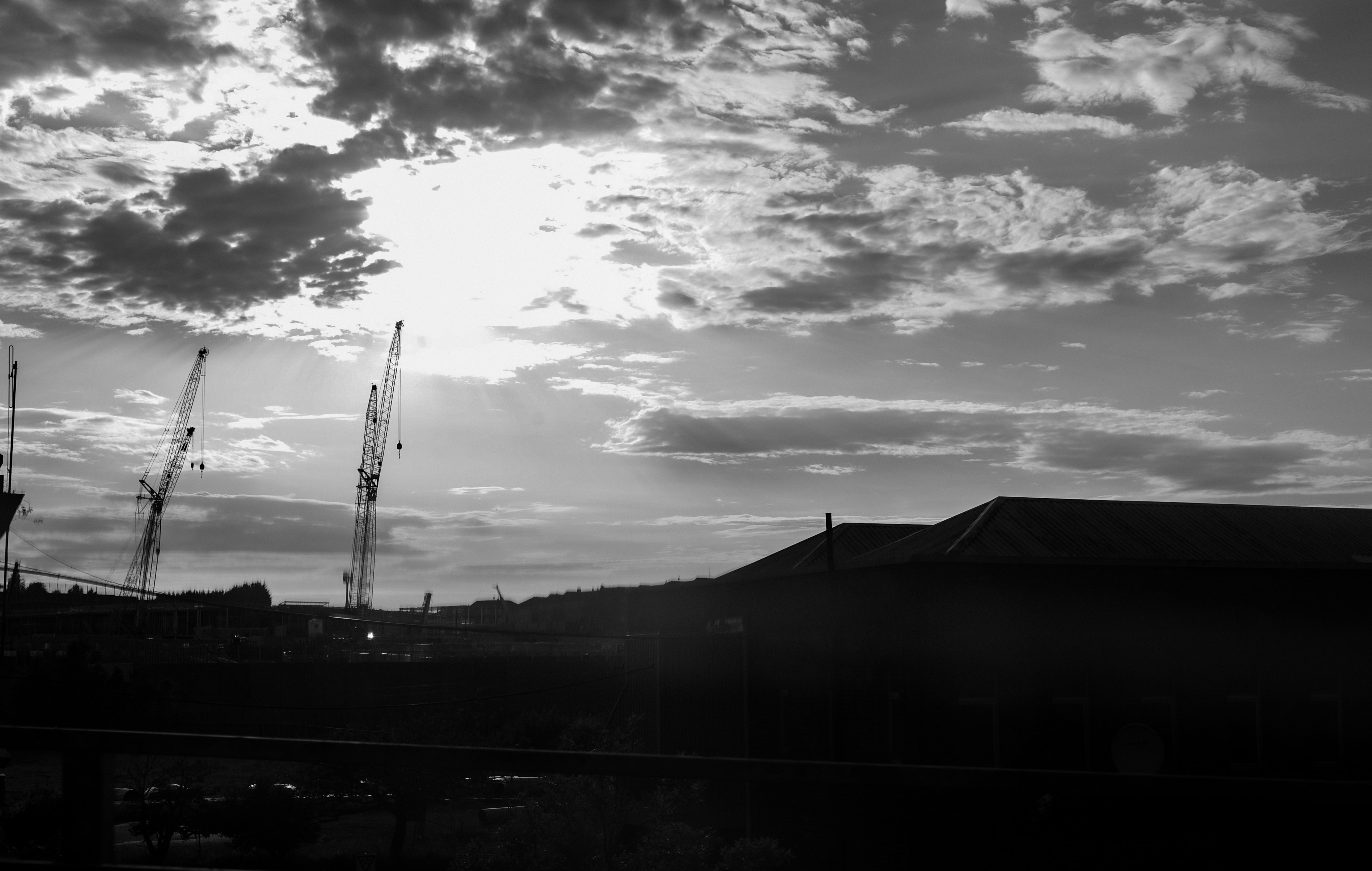 Cranes at Dusk: Silhouettes and Semaphores