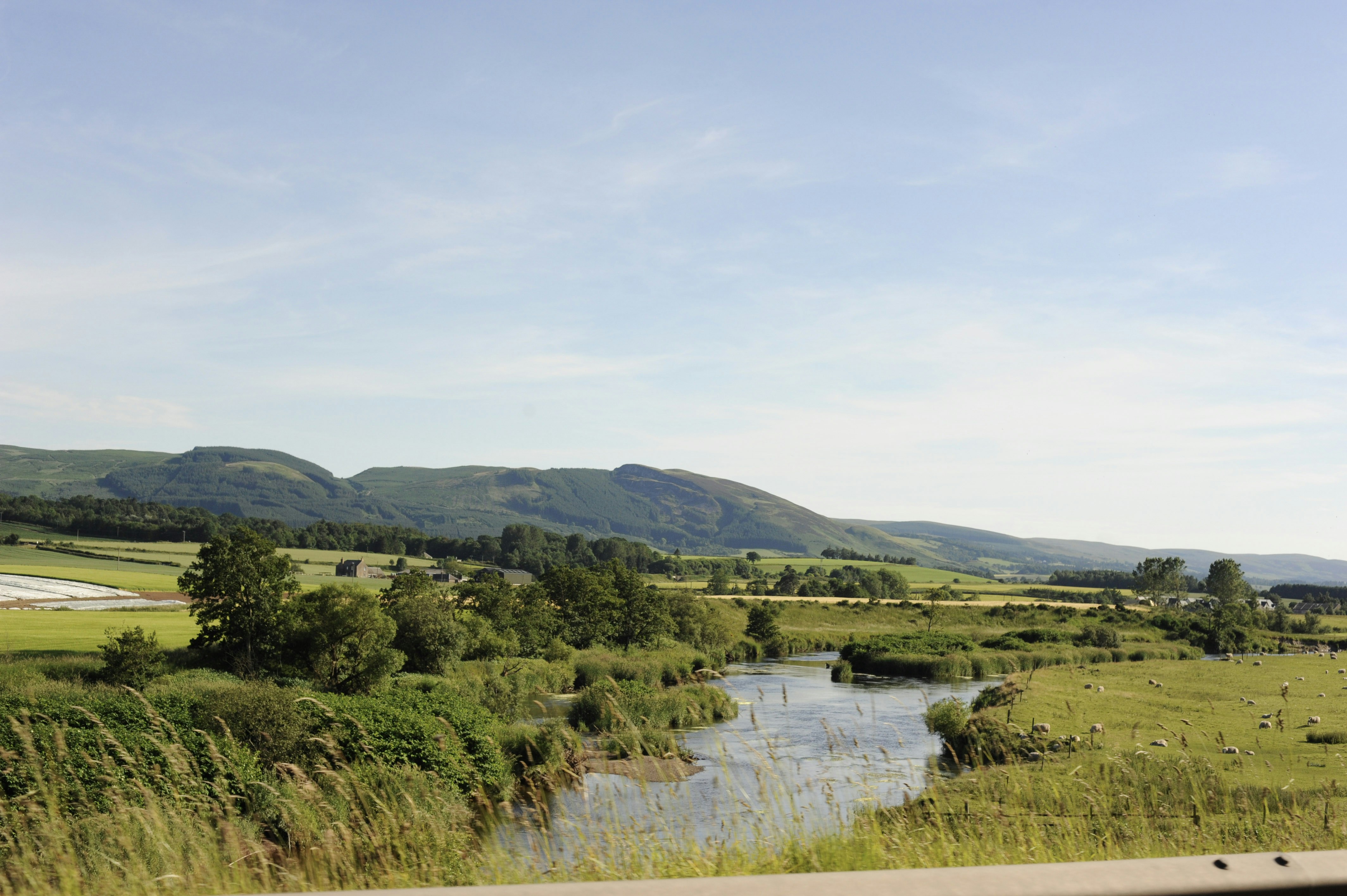 Meandering Stream Through Open Grasslands Beneath Rolling Hills