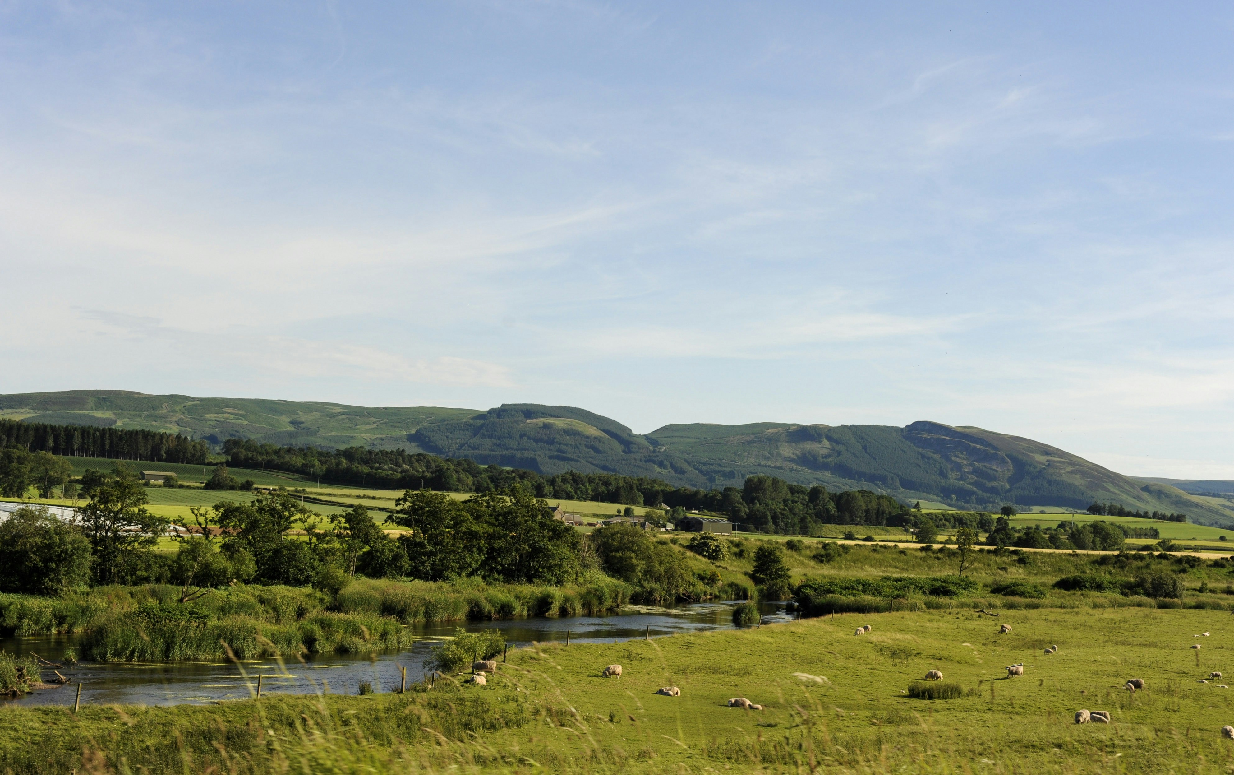 Pastoral Horizon: Sheep and Stream under a Quiet Sky