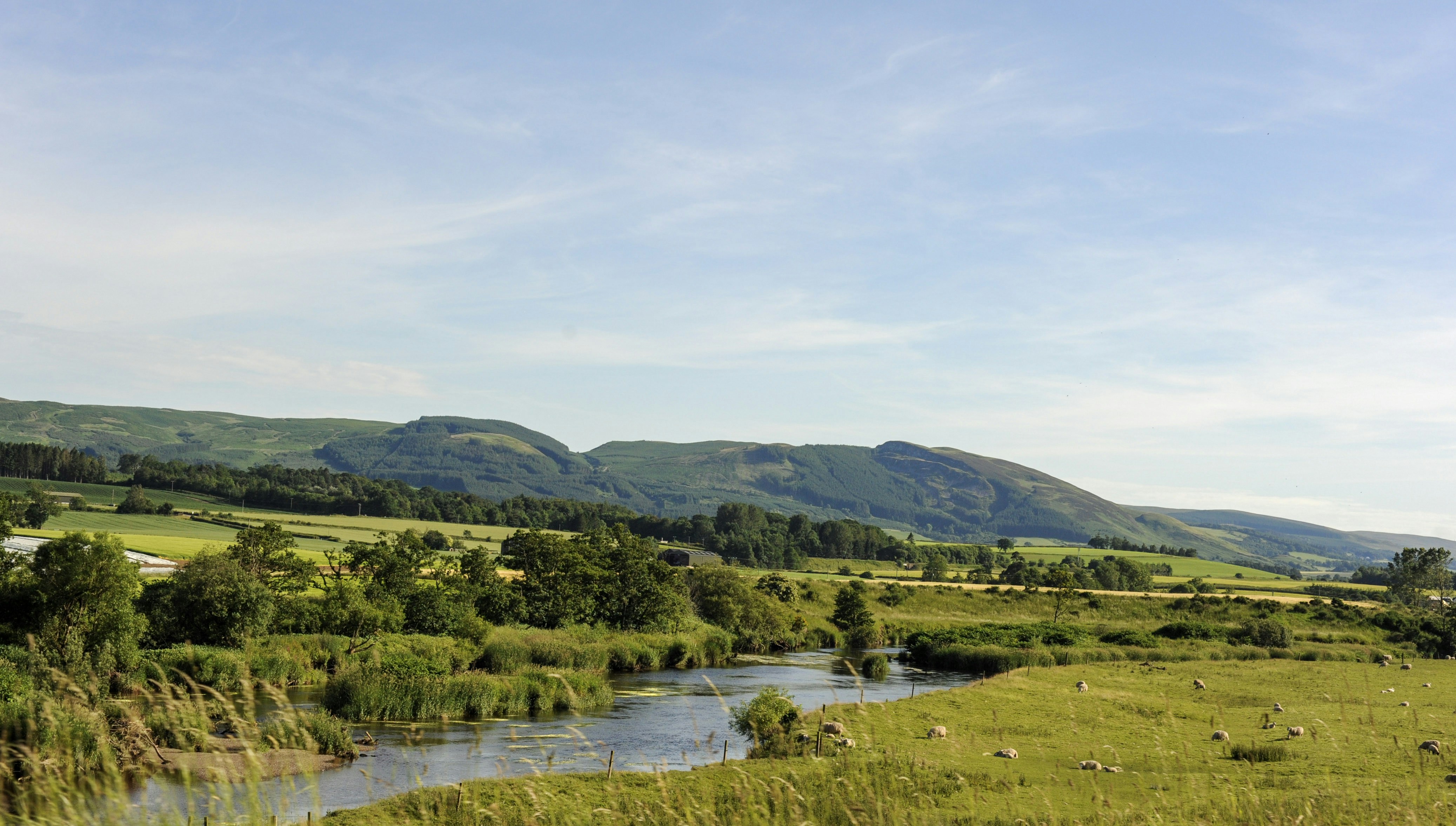 Verdant River Valley Under Wide Blue Skies