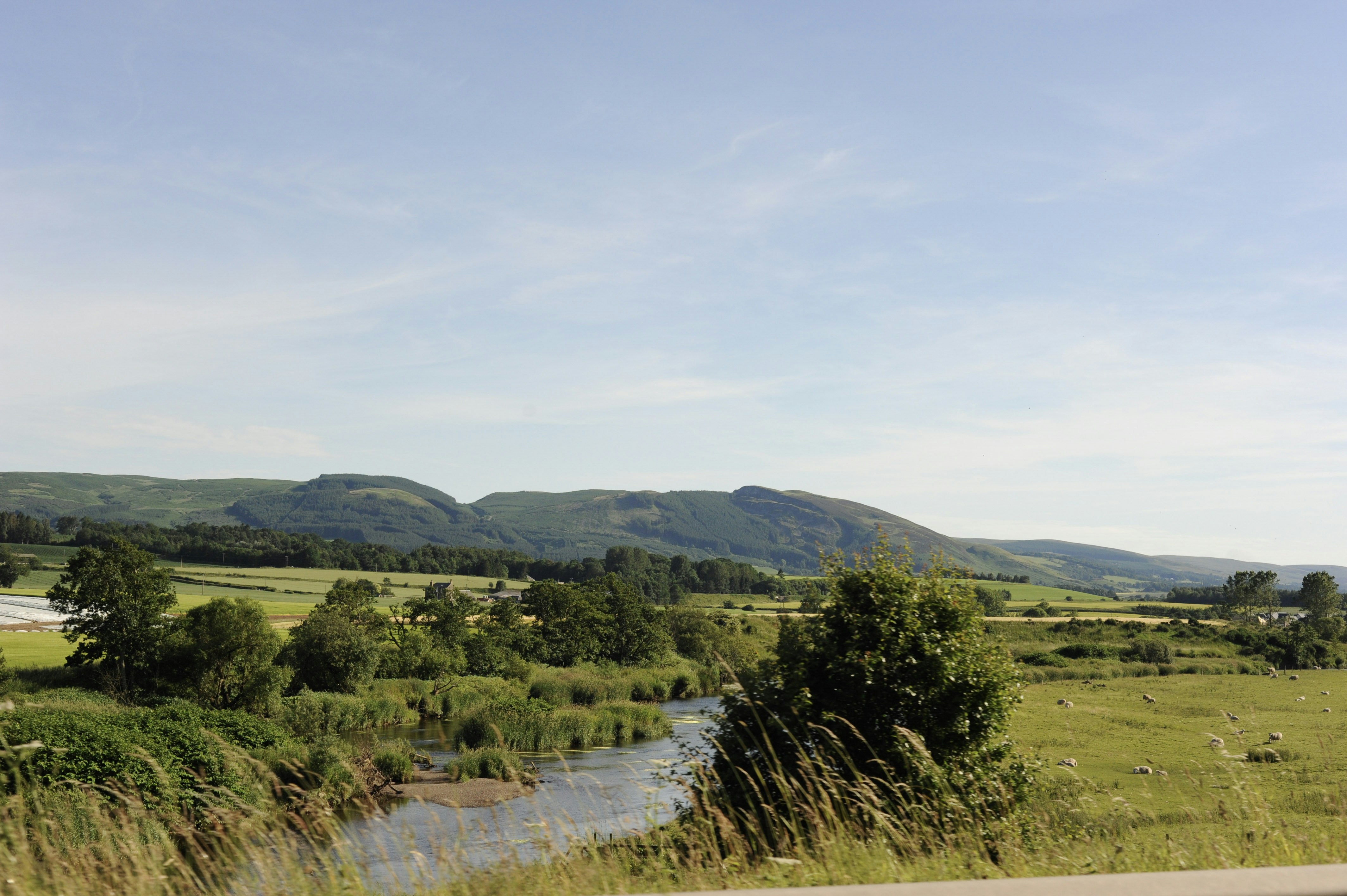 Pastoral Vistas: A Quiet River Winding Through Golden Fields