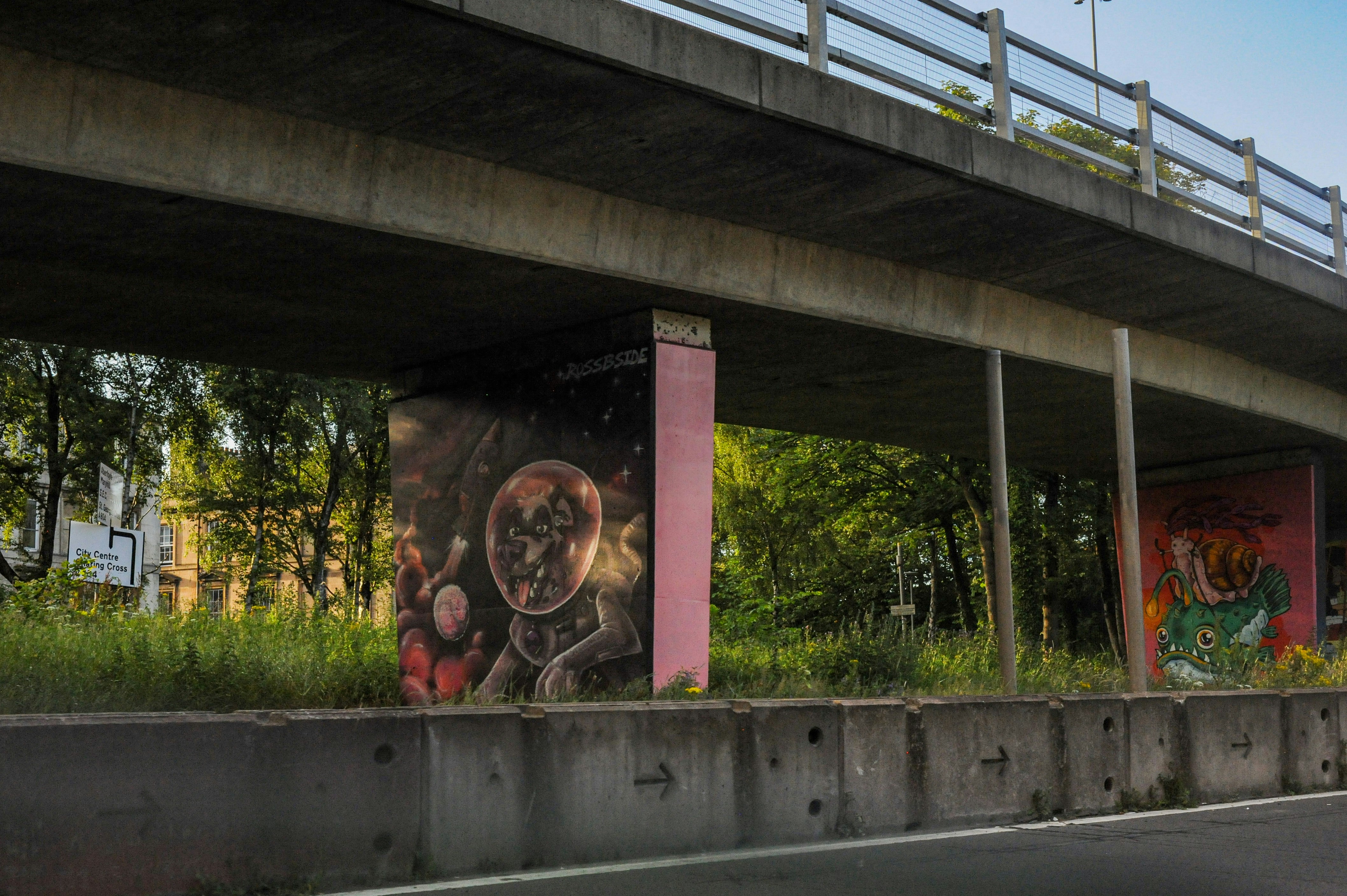 Graffiti Underpass Bonanza: Colorful Panels Behind the Concrete