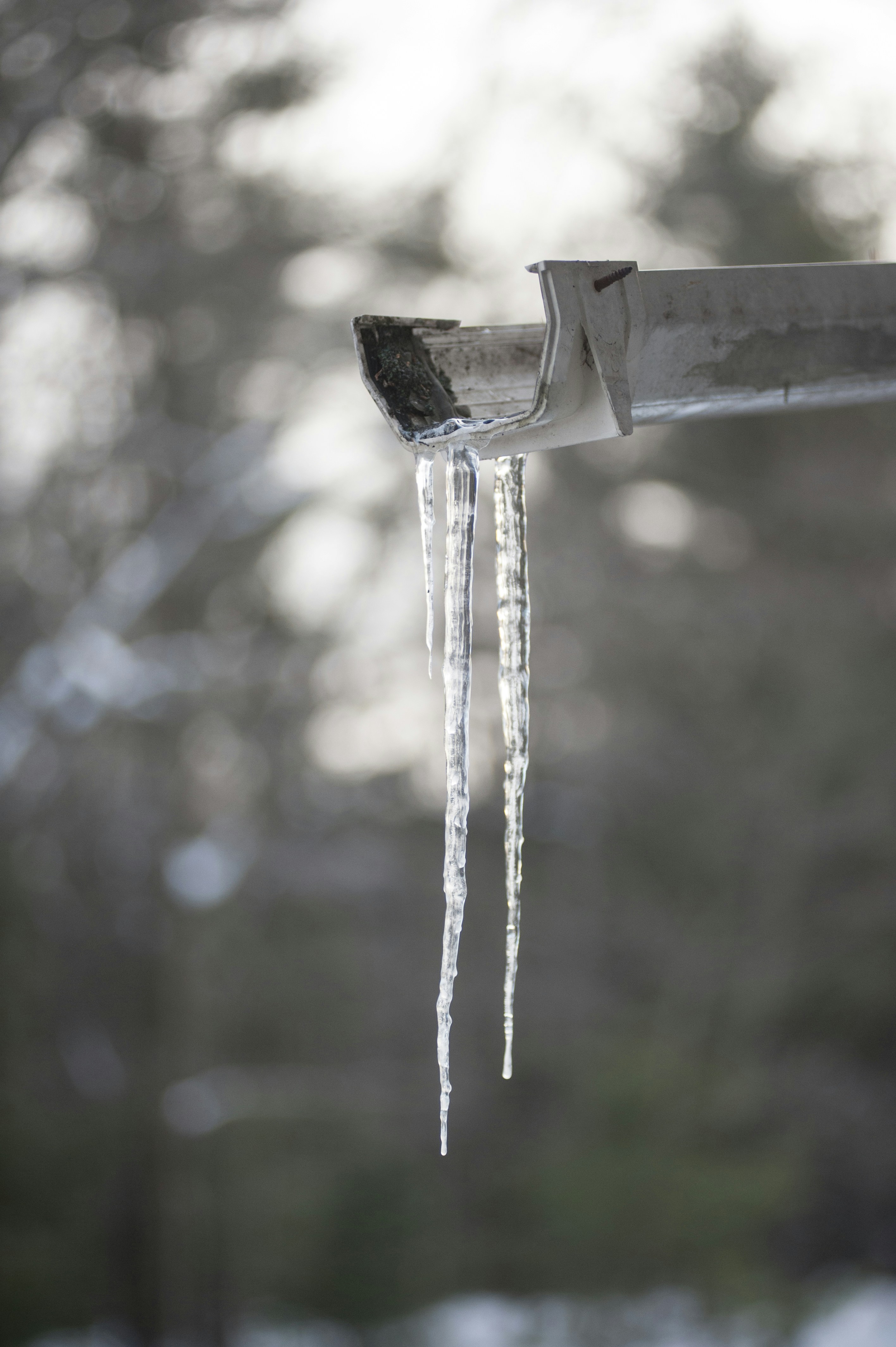 Icicles Dangling from Winter Rail Under Diffused Light