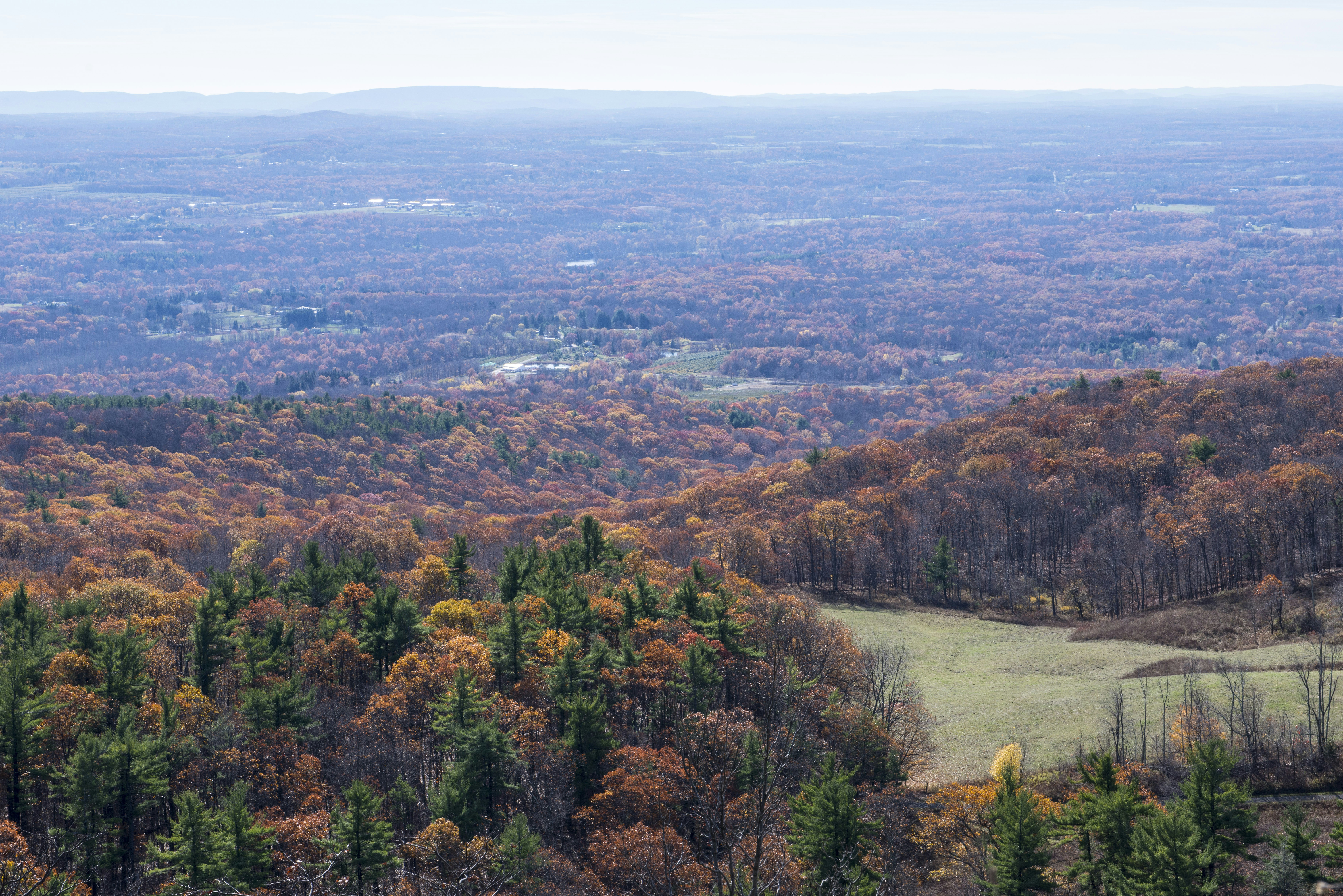 Autumn River Valley: A tapestry of Fall Color and Rolling Hills