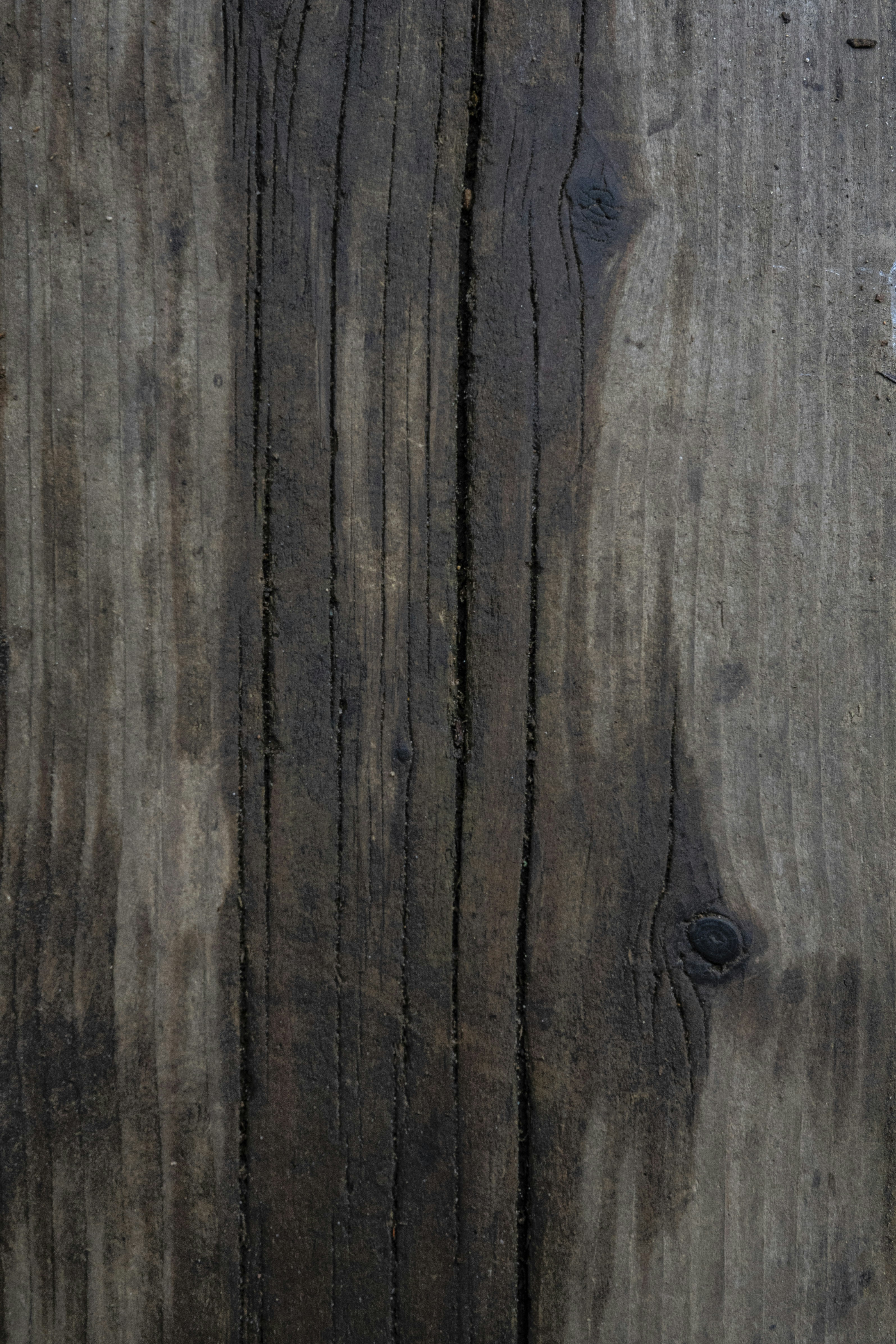 Weathered Planks: A Close‑Up of Timeworn Wood Grains