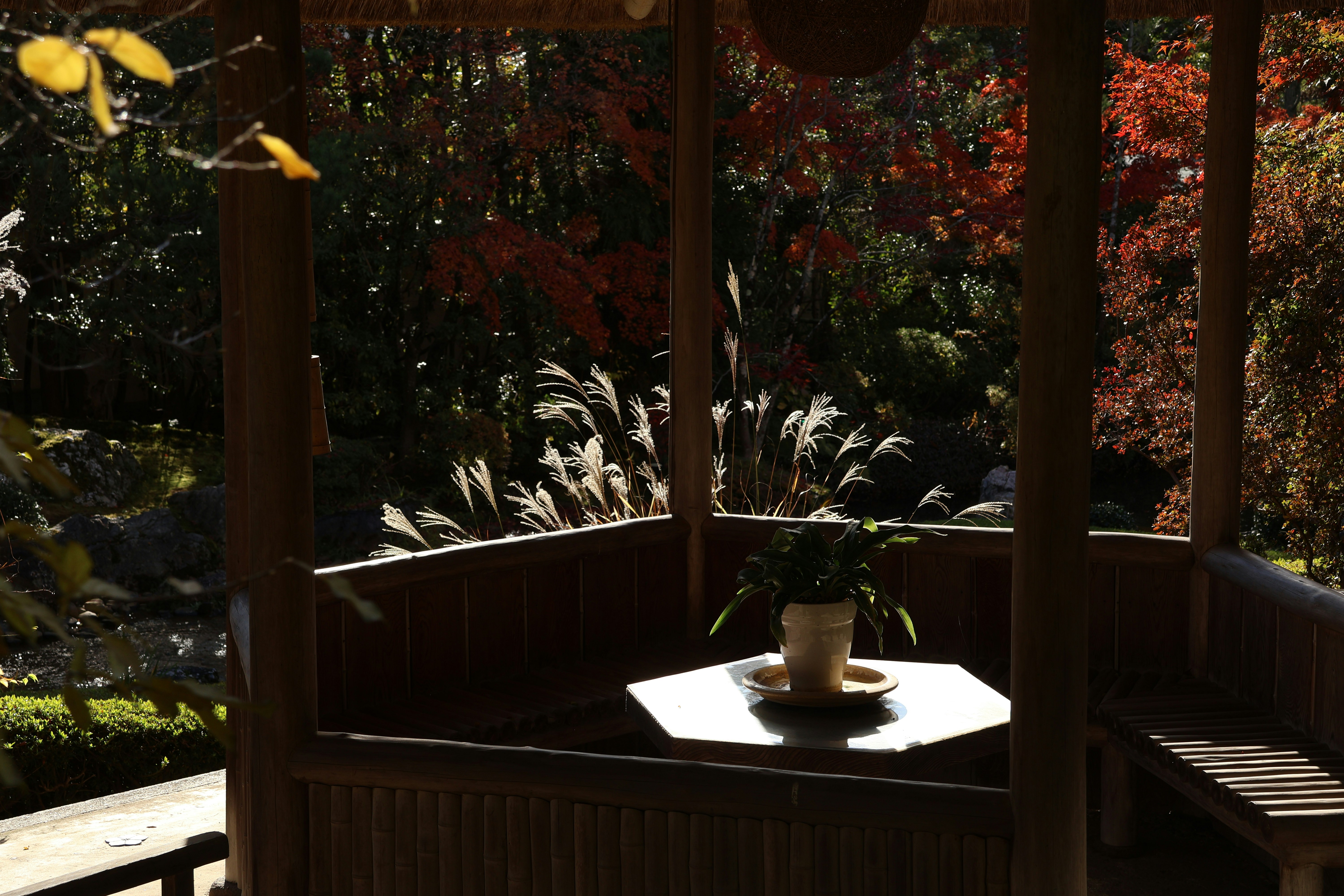 Sunlit Pot on a Quiet Shaded Altar within a Wooden Pavilion