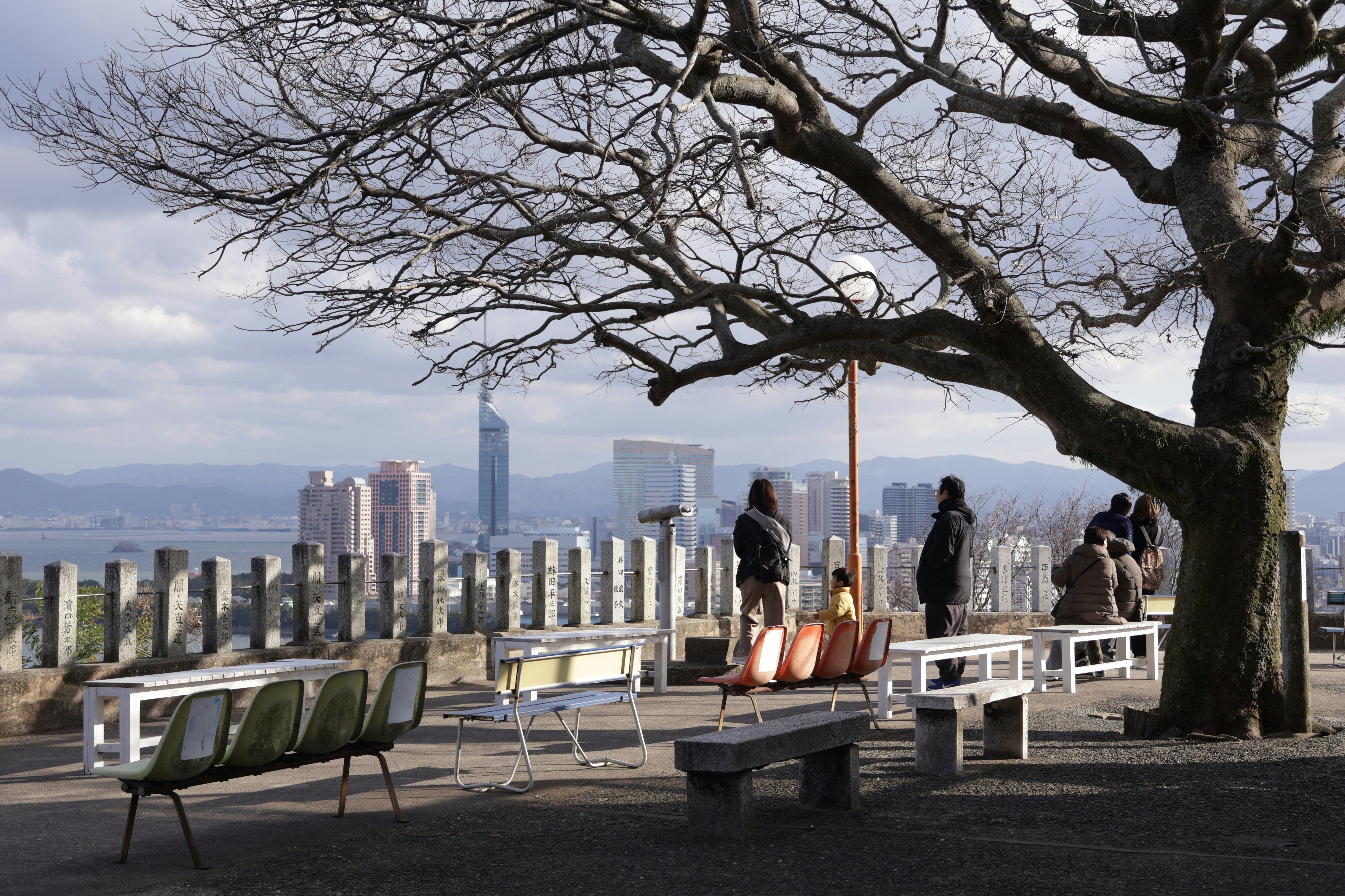 Overlook at the City: Tree, Bench, and View