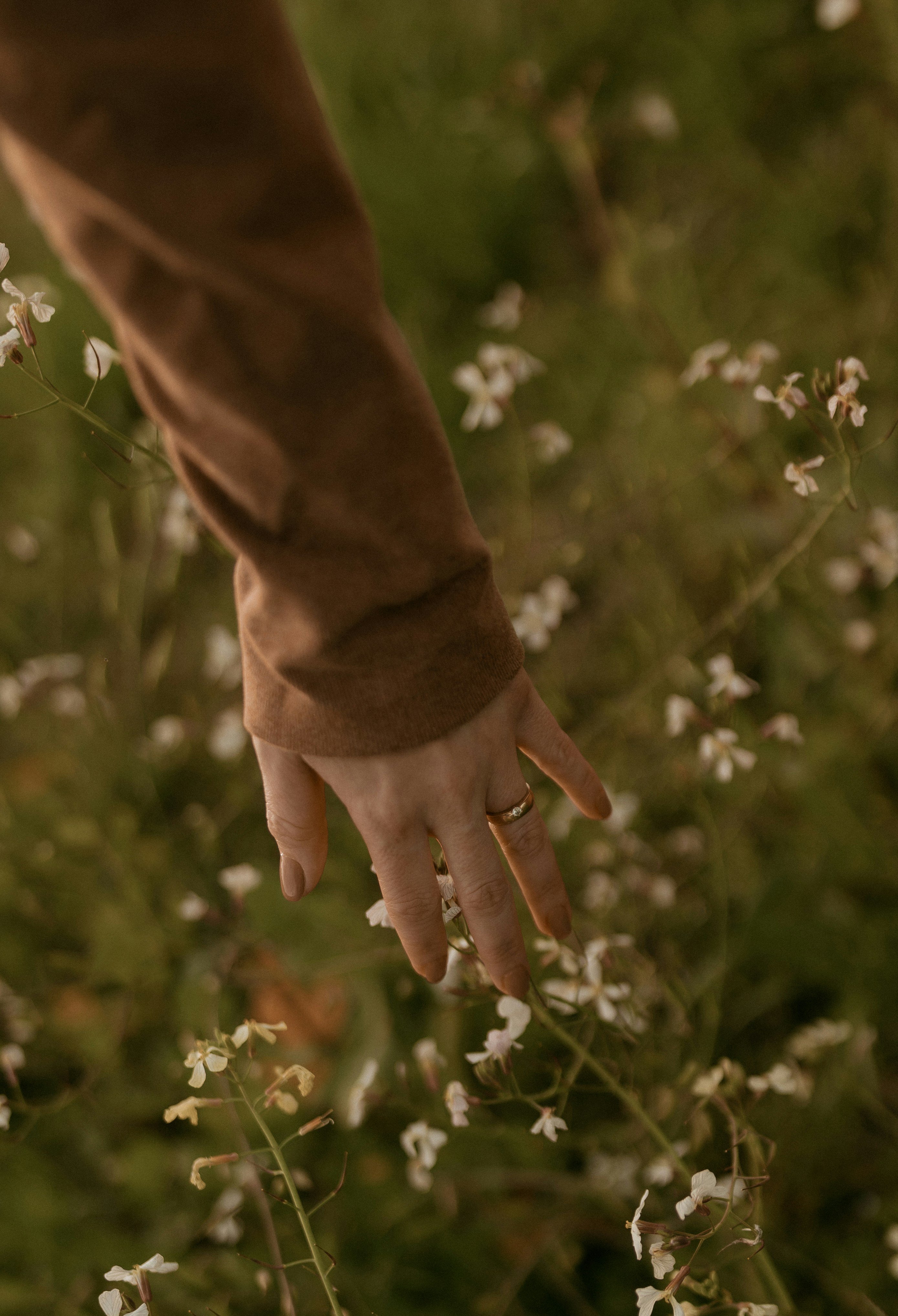 Gentle Hand Amid White Wildflowers
