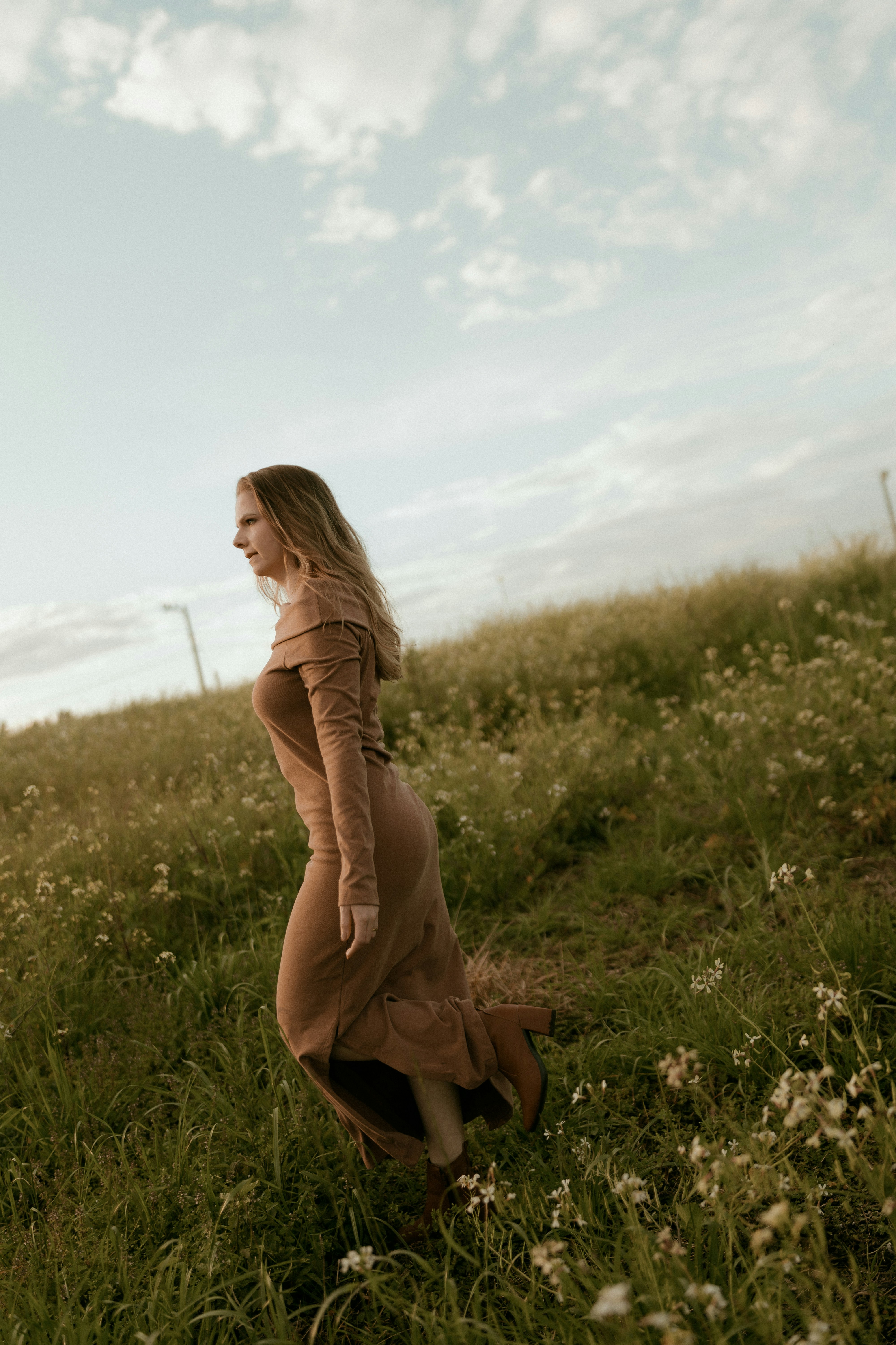 Graceful stride through a sunlit meadow