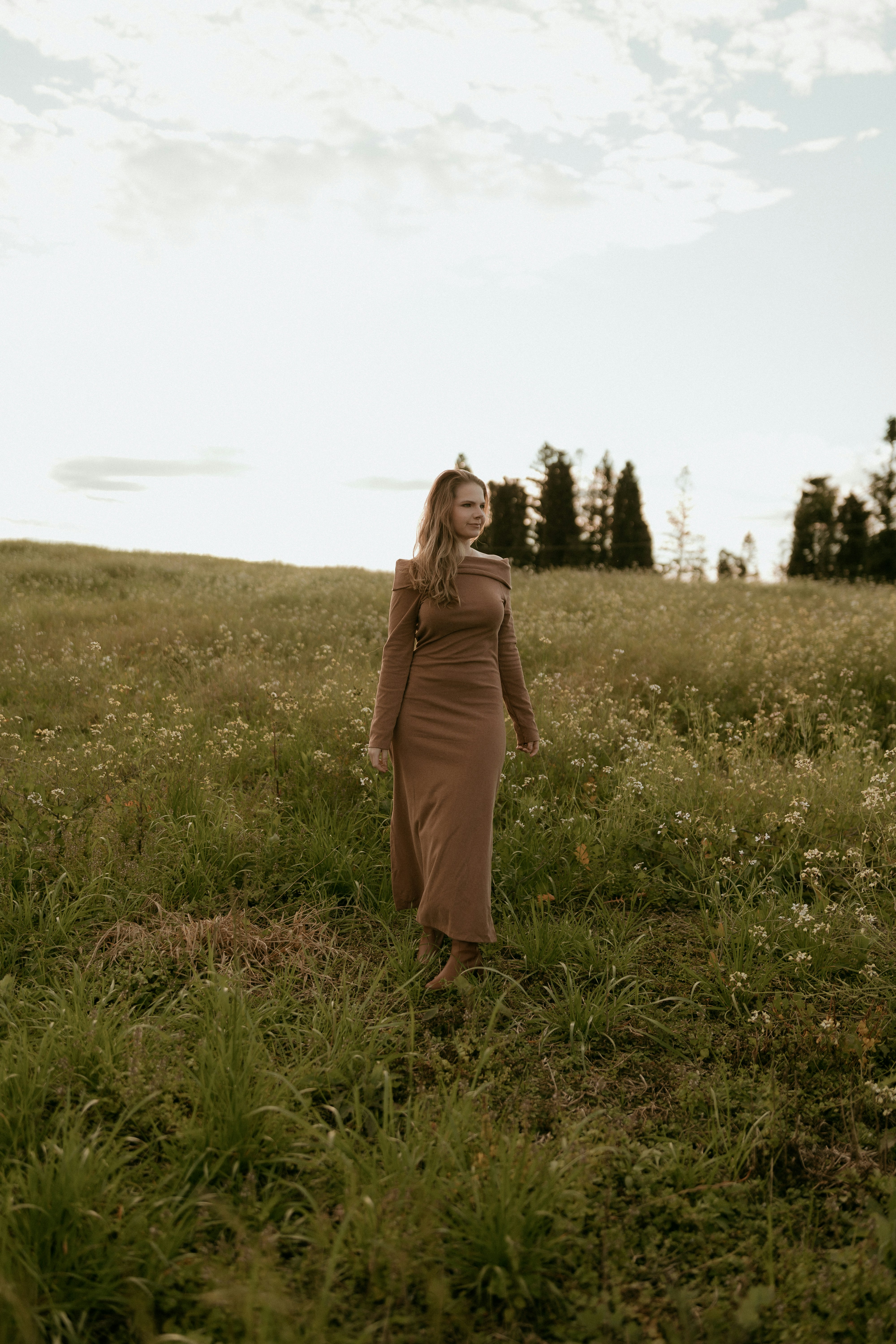 Fieldbound Portrait: A Quiet Walk Through Sunlit Wildflowers