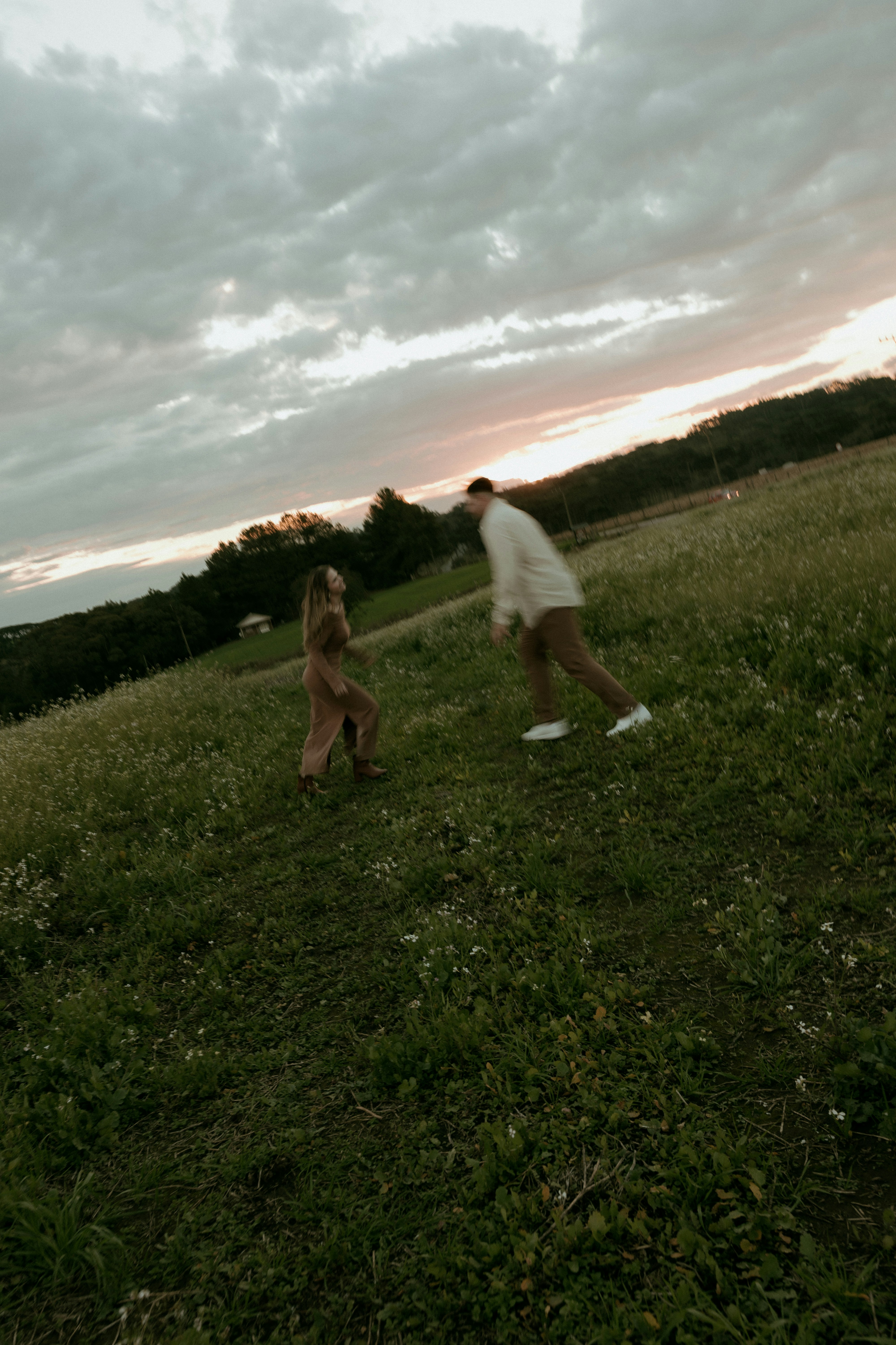 Dusk Run Across a Meadow