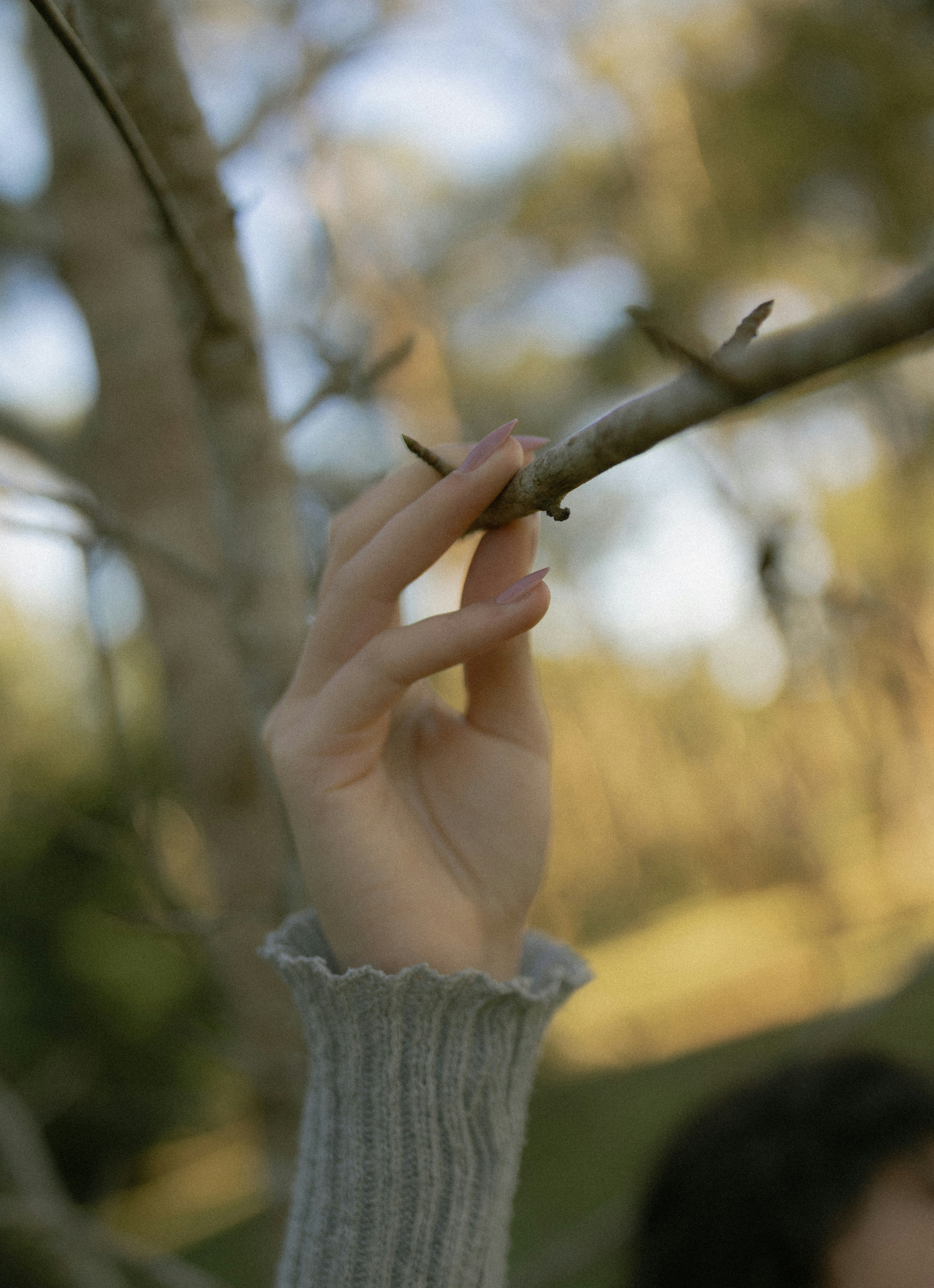 Close-Up of a Pale Hand Gently Grasping a Thorny Twig