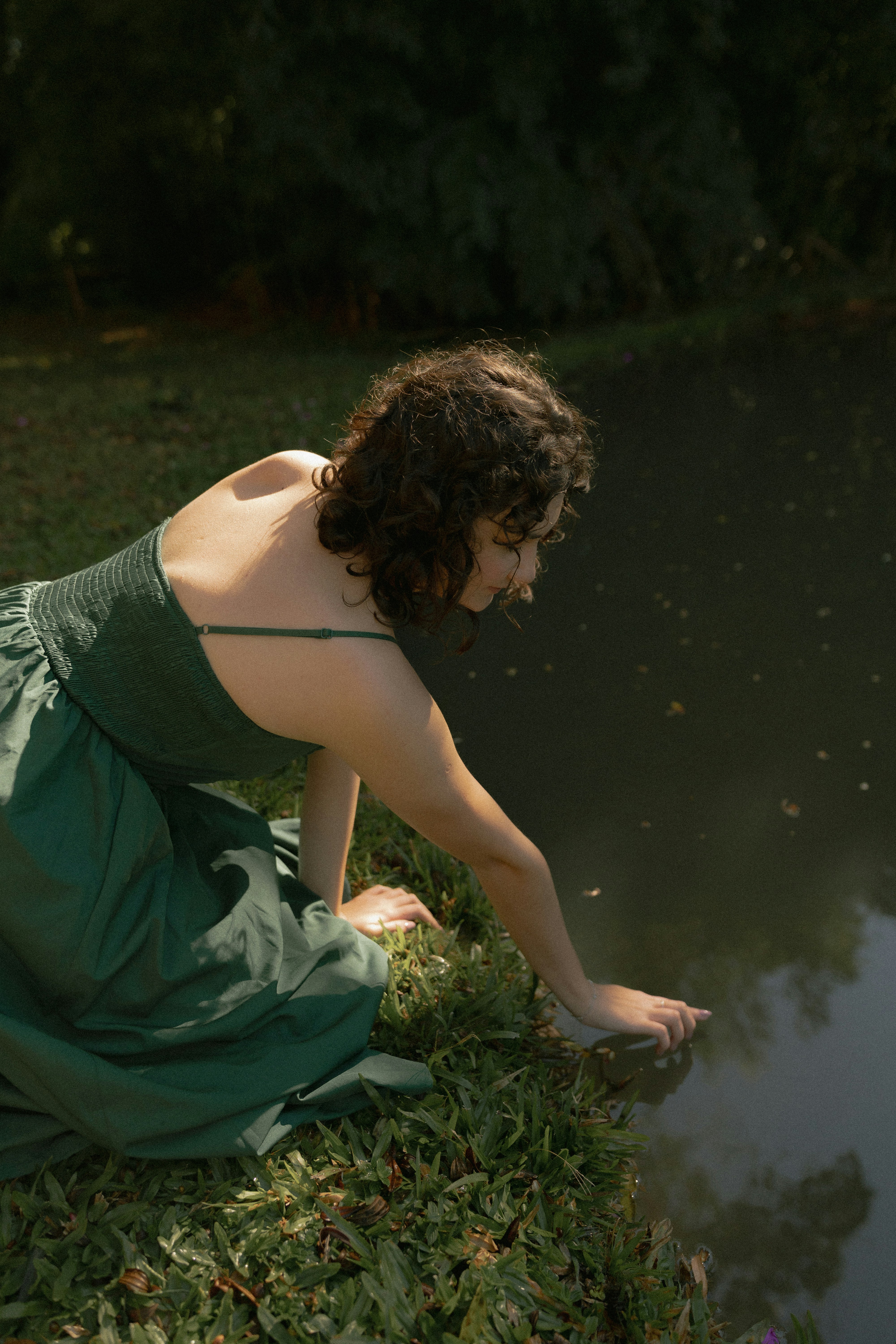 Edge of the Pond: A Quiet Lean Over Green