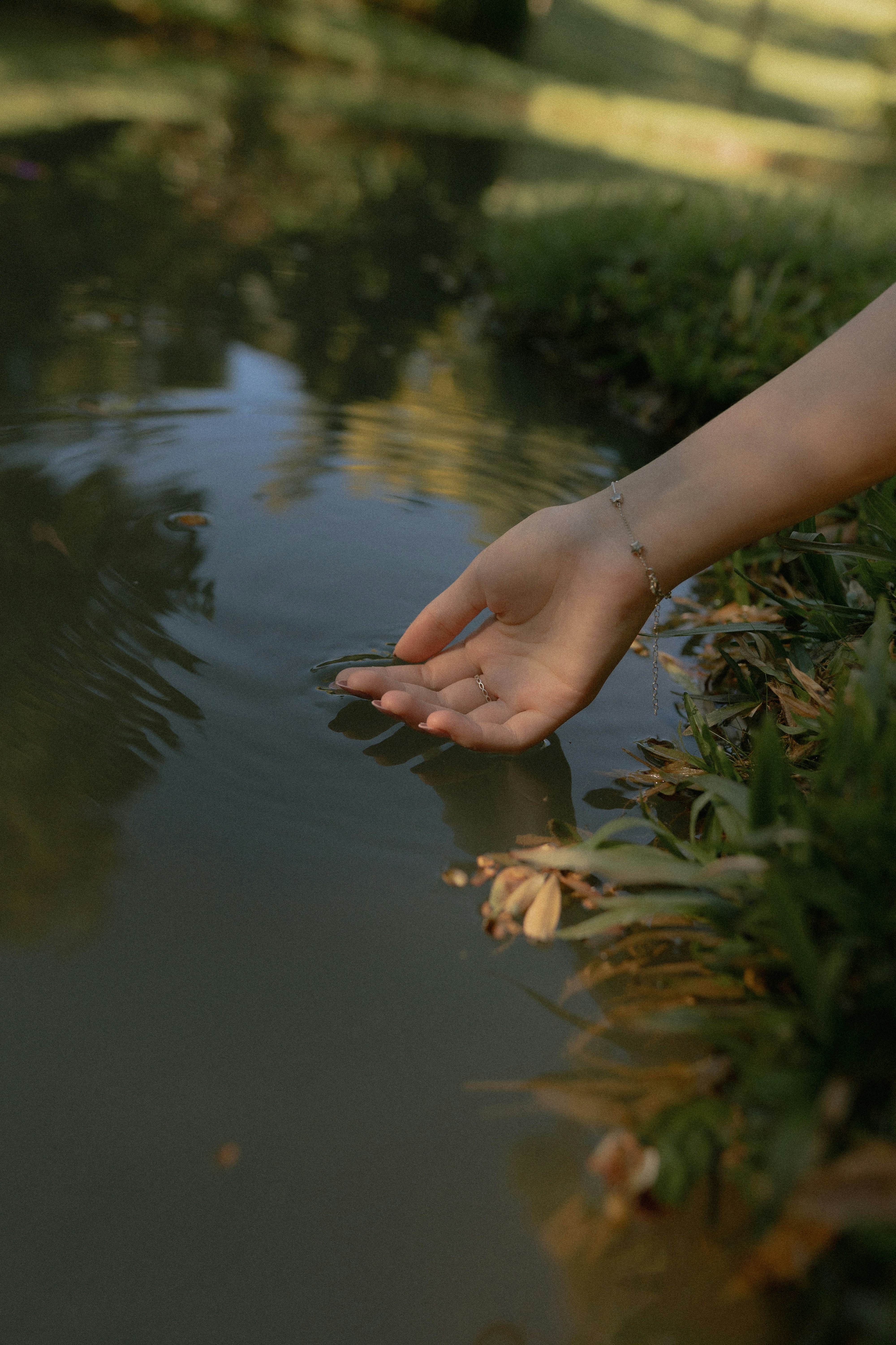 A Delicate Touch: Hand Reaching Over a Quiet Pond