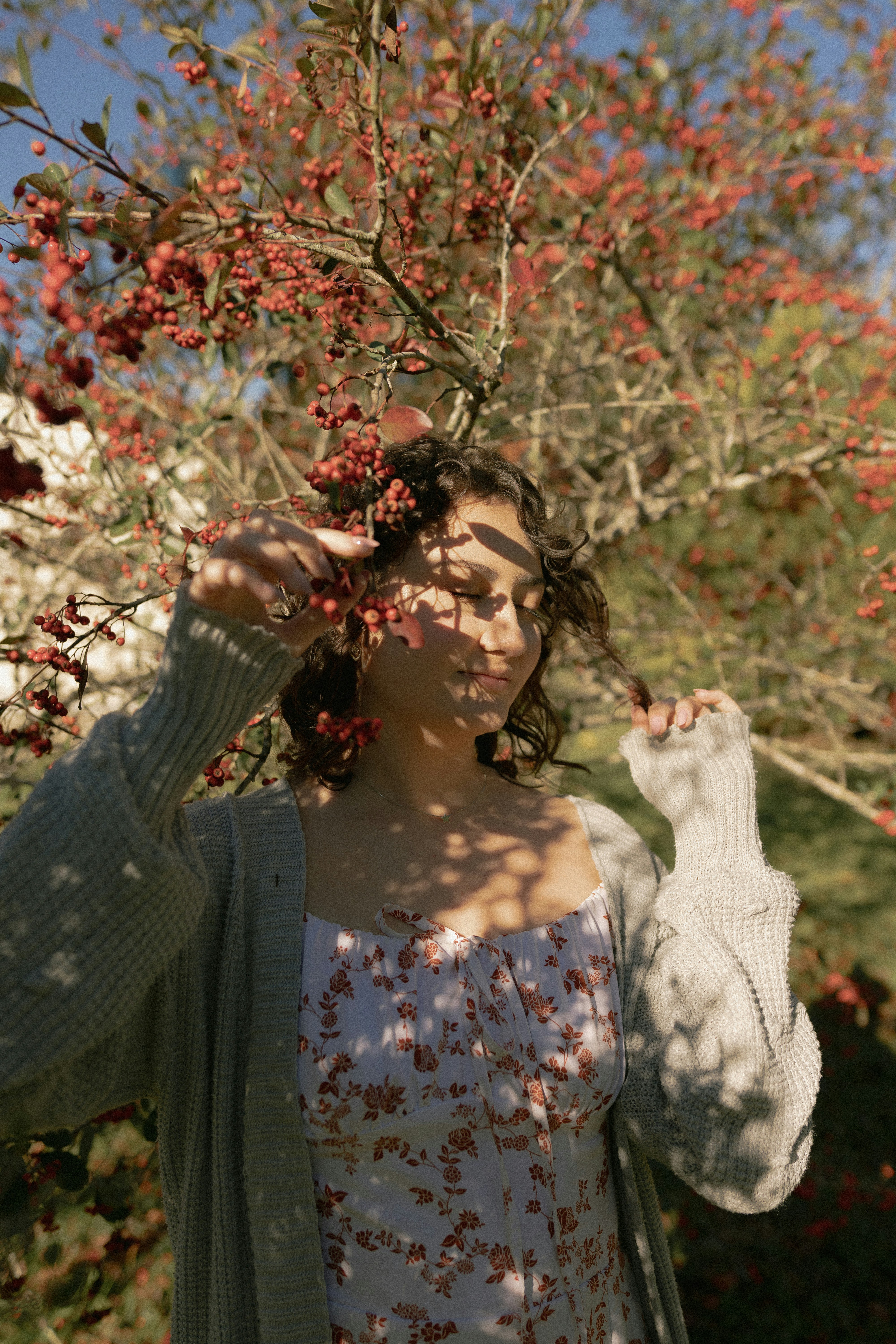 Sunlit Cherry Trespass: a Quiet Moment Among Red Berries