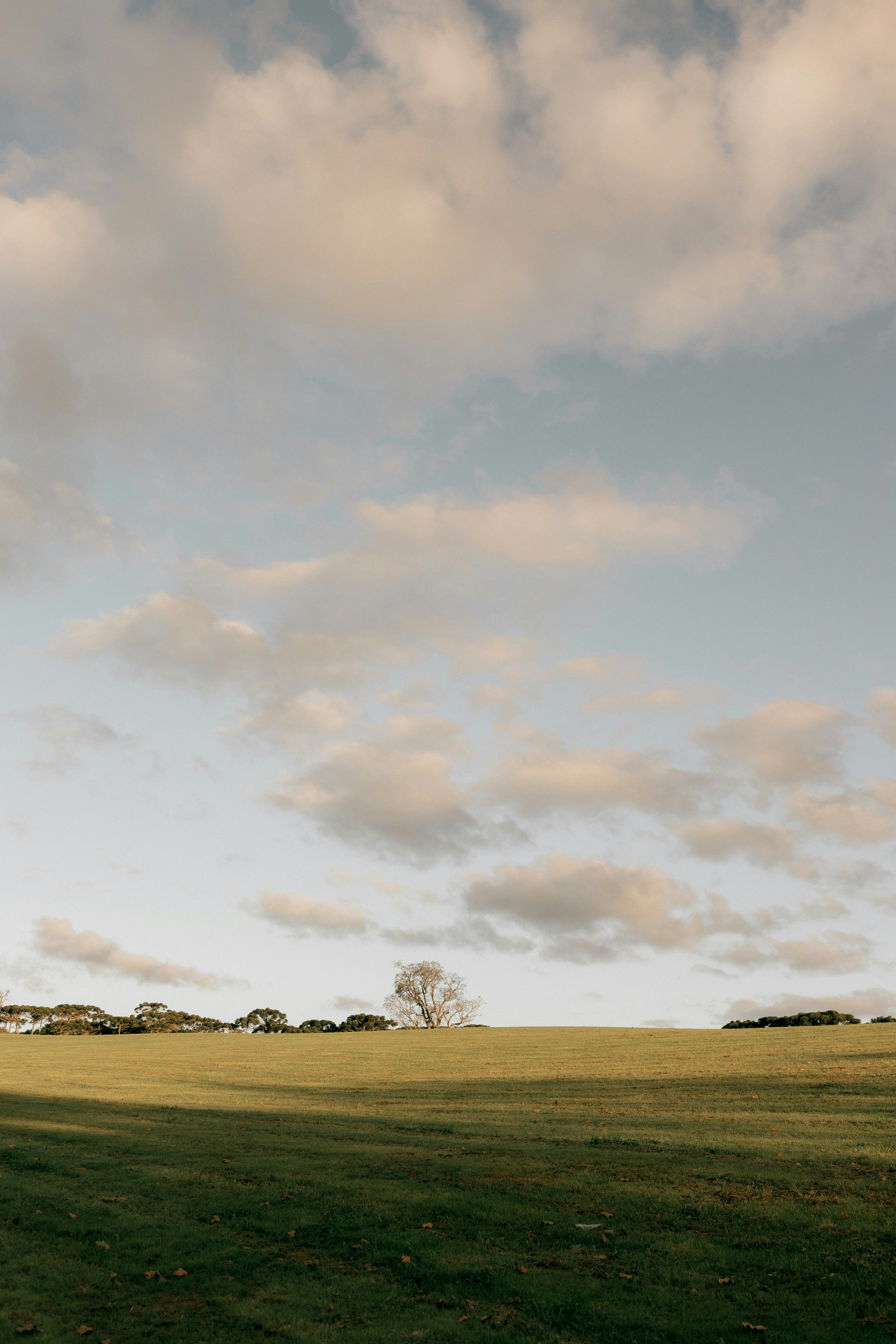 Wide Sky and Rolling Field at Dusk