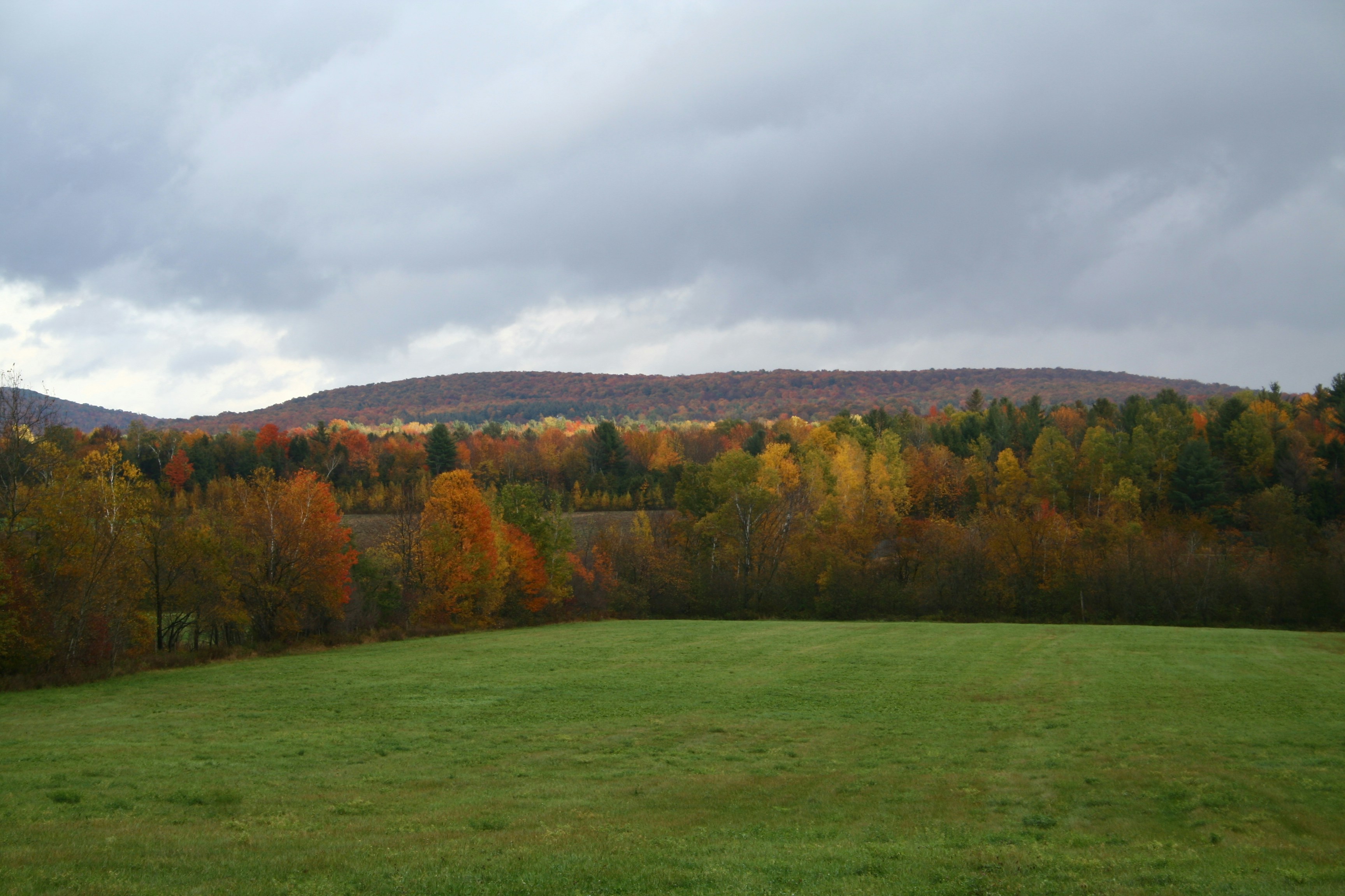 Autumn Dawn over a Quiet Field