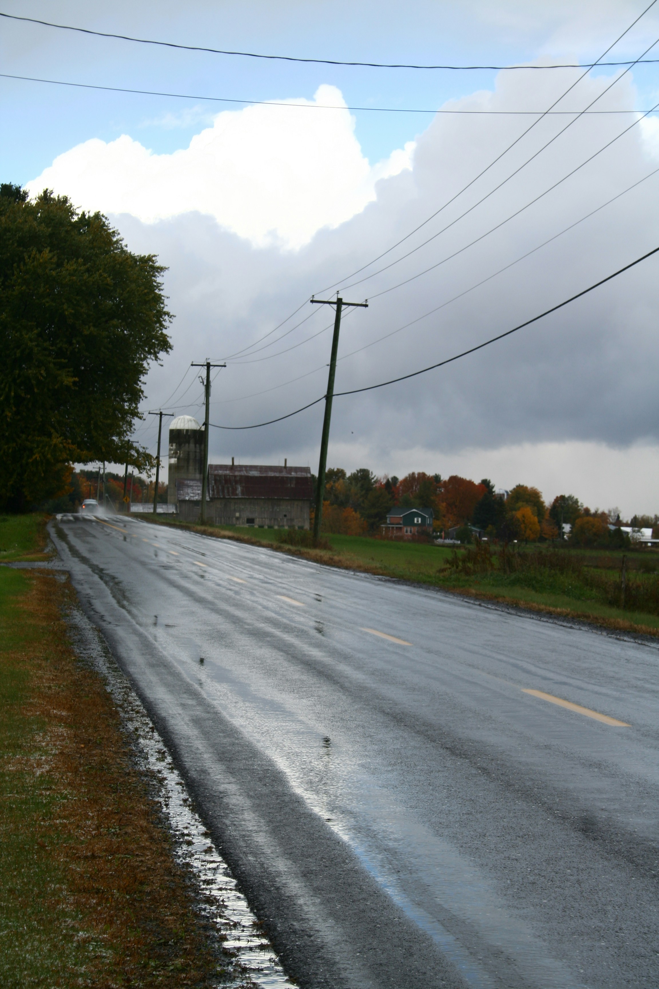 Rural Road After Rain: Power Lines Leading to a Quiet Farm