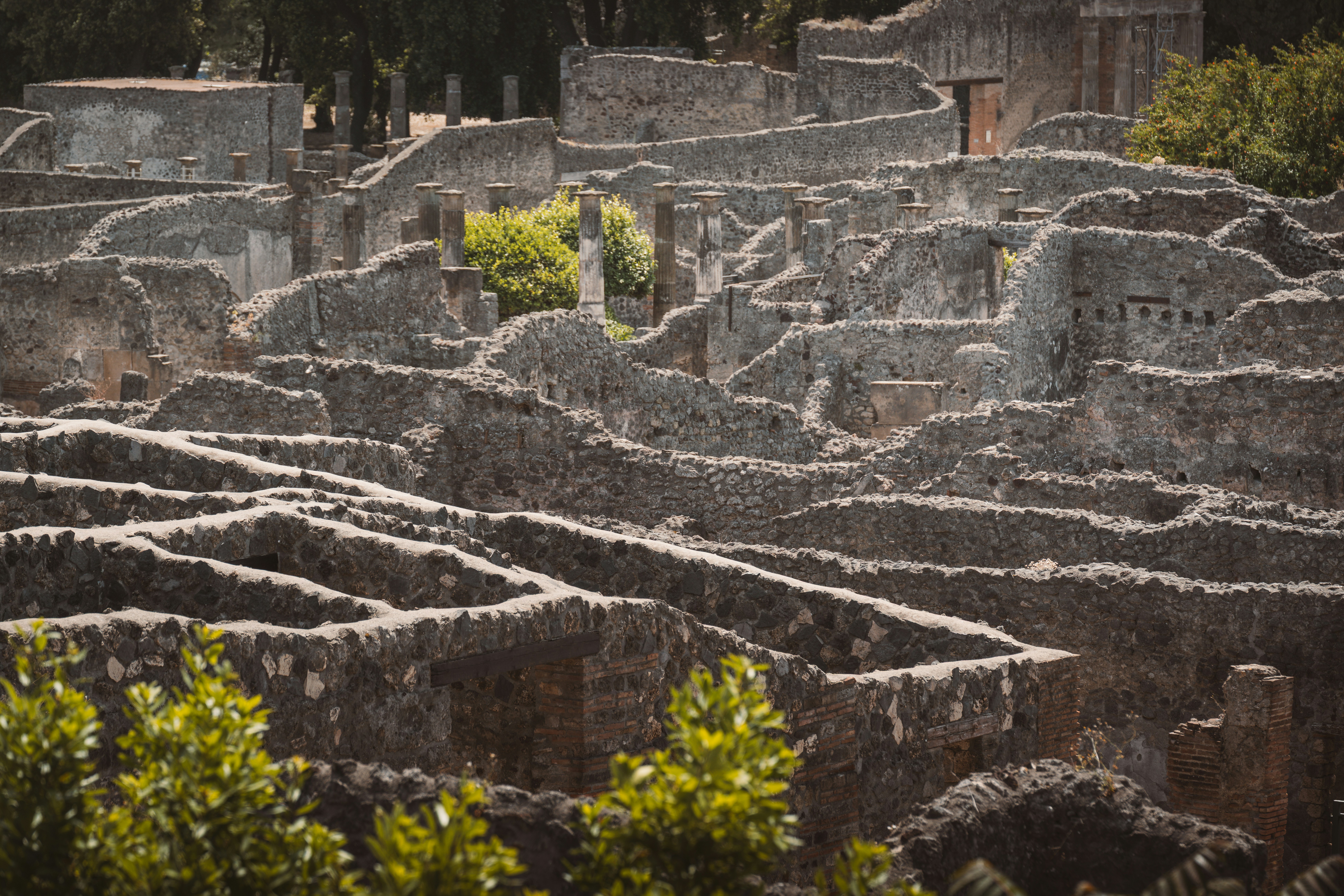 Deserted Stone Labyrinth: A Sunlit Pursuit Through Ancient Walls