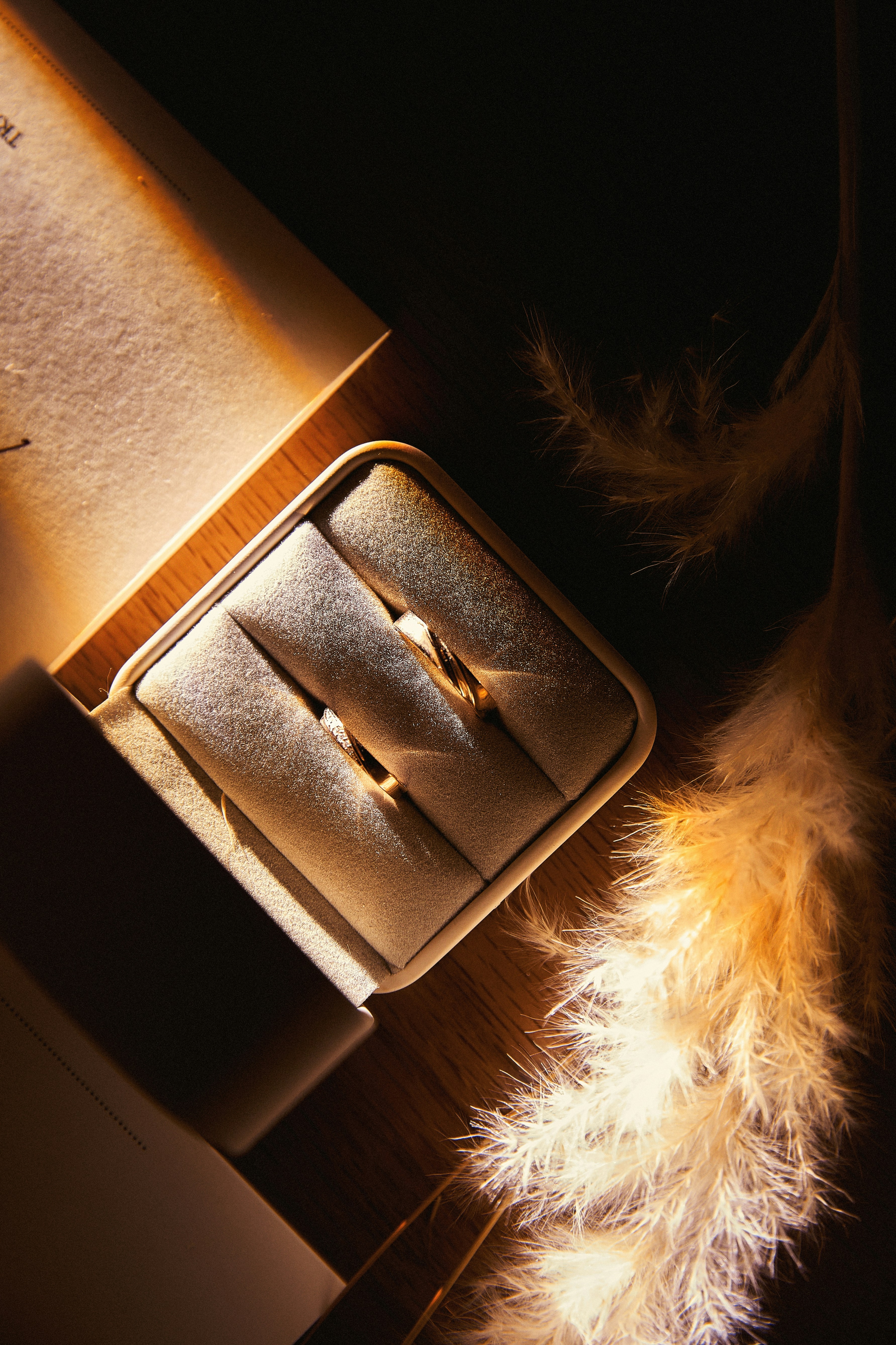 Coiled Elegance: A Ring Box Nestled by Feathery Glow