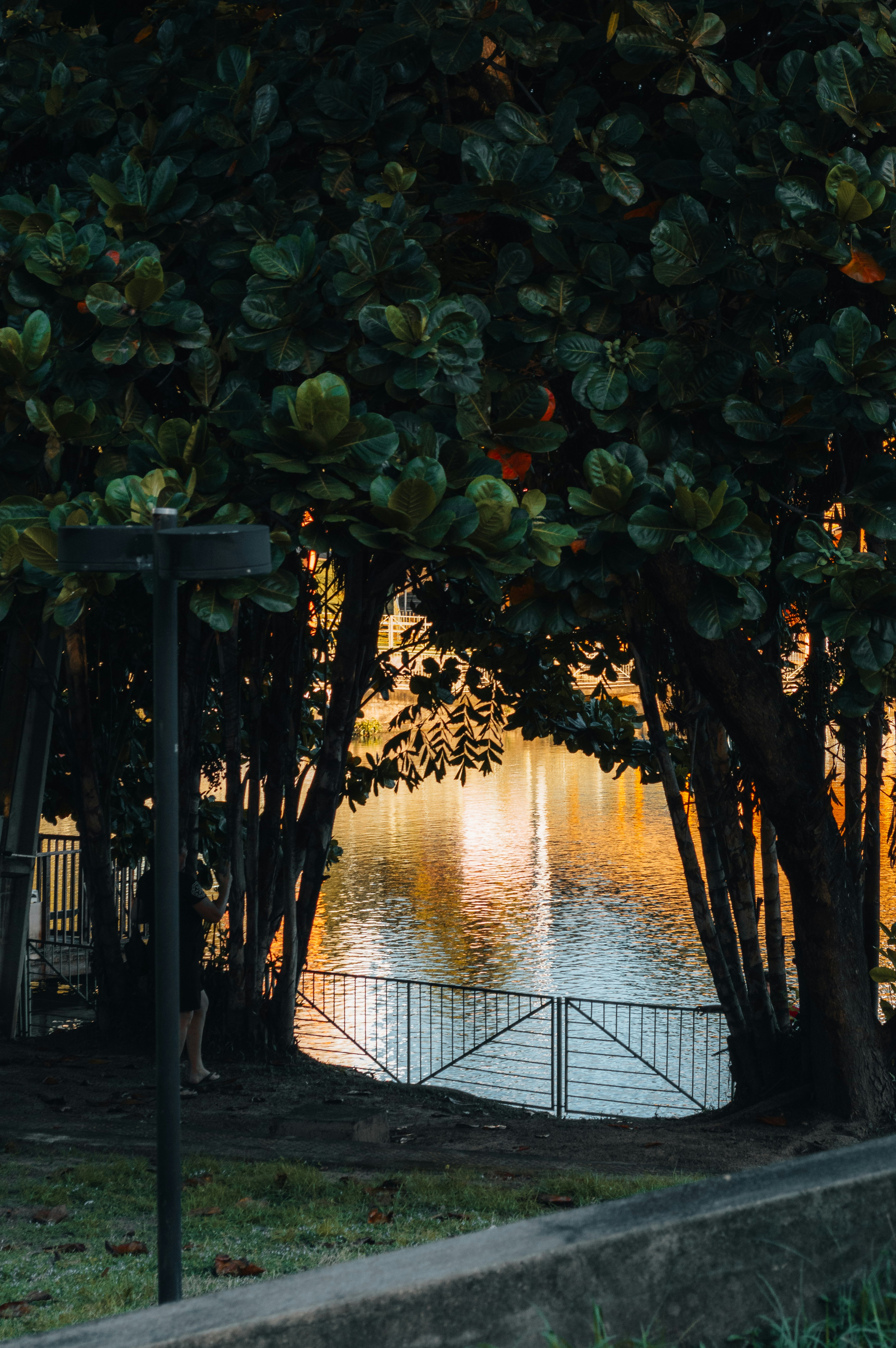 Through the Gate of Dusk: Sunset Reflection by a Quiet Waterfront