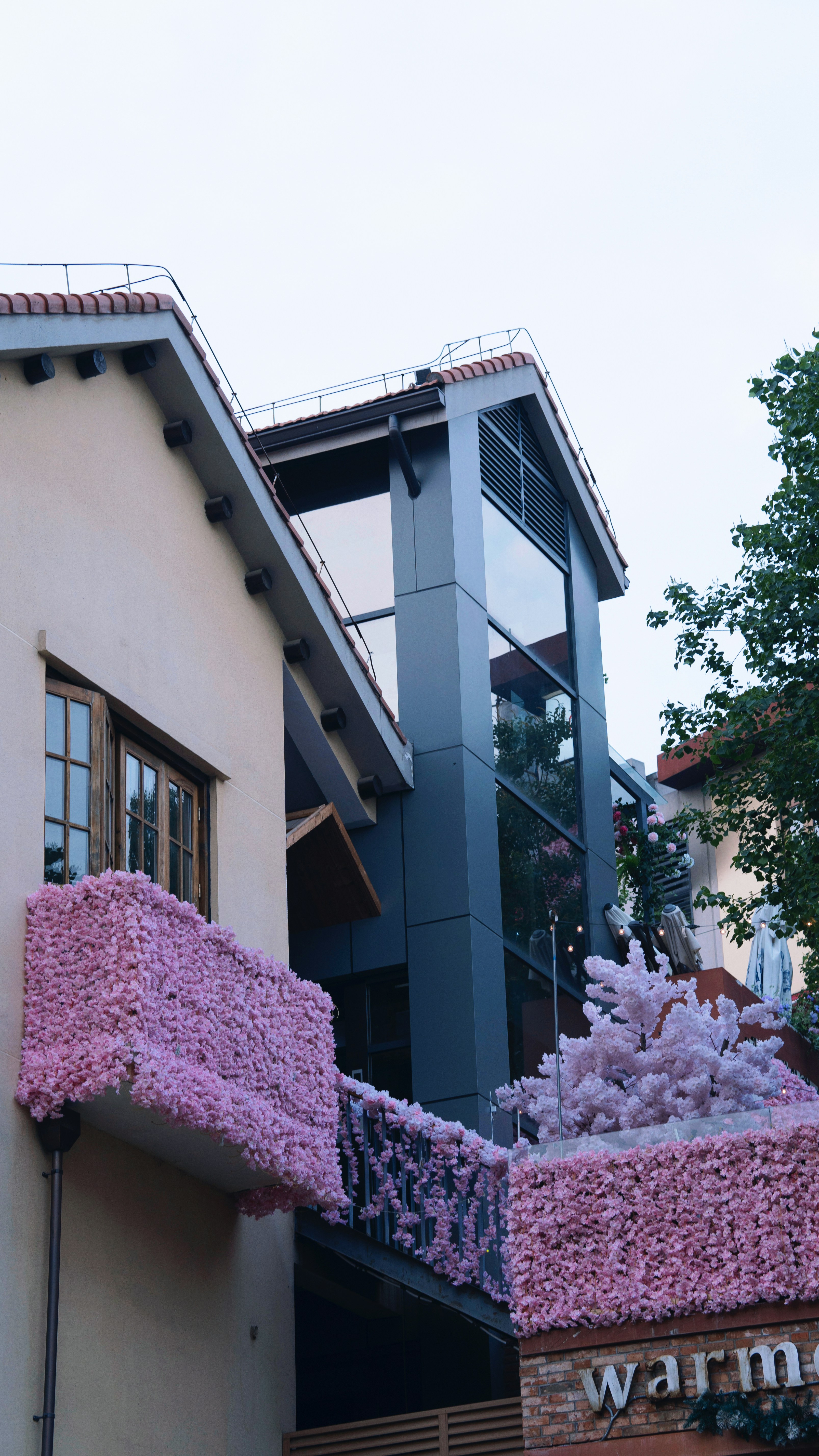 Pink Blossoms over Modern Balcony: A Sliver of Warmth in Glass and Brick