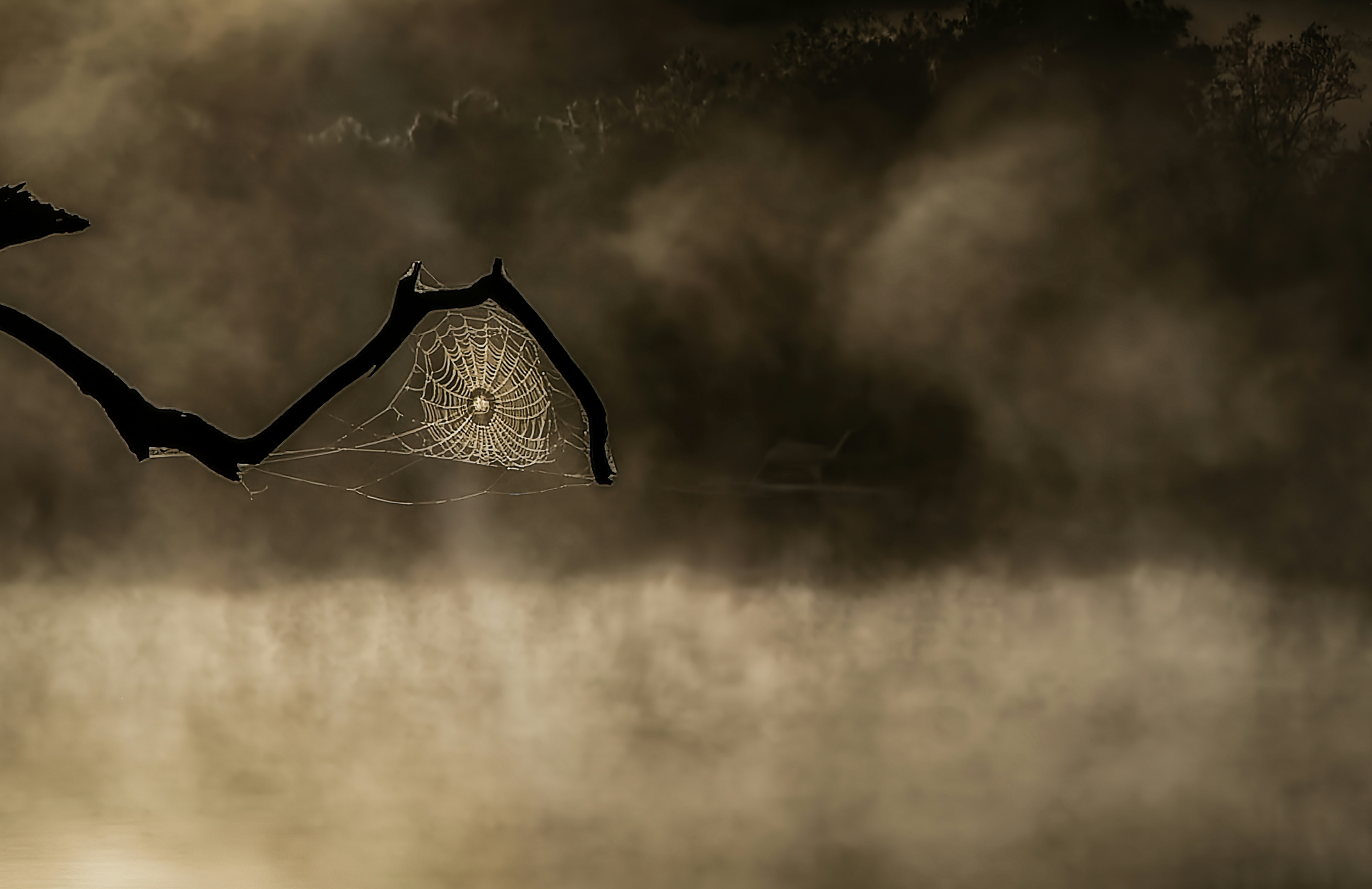 Silken Echoes in the Mist